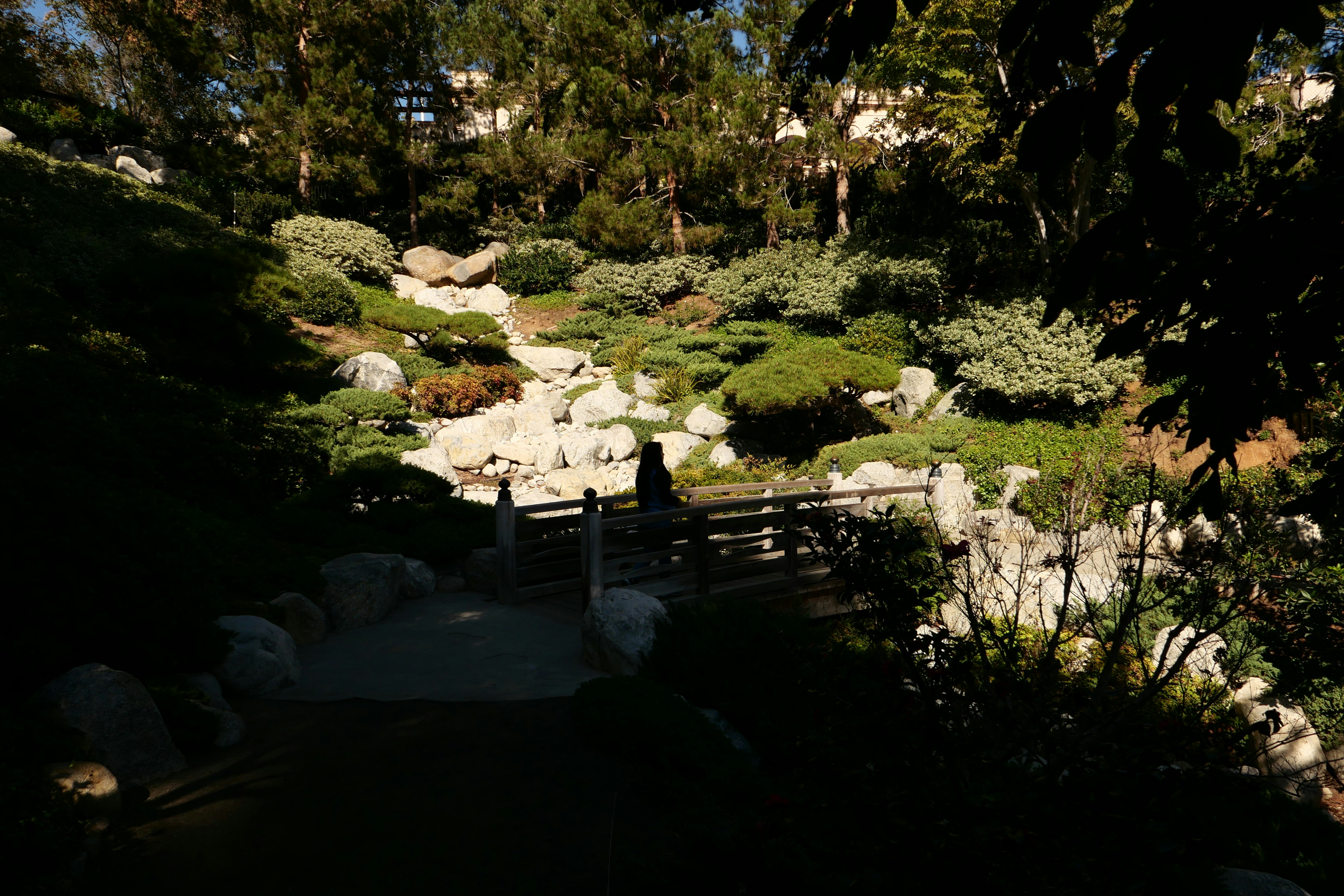 a person walking on a bridge over a river