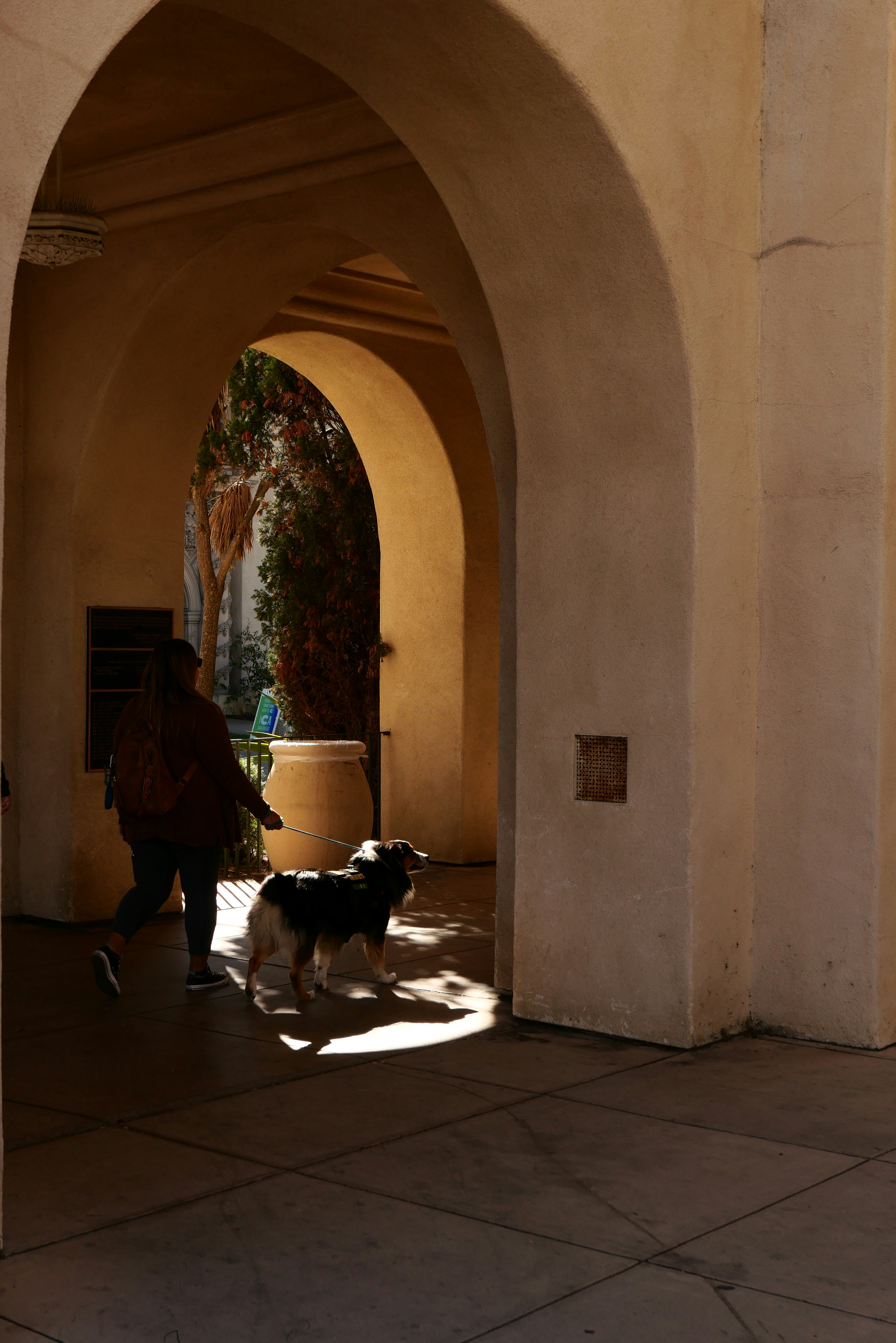 A person walking a dog photo – Free Dog and girl Image on Unsplash