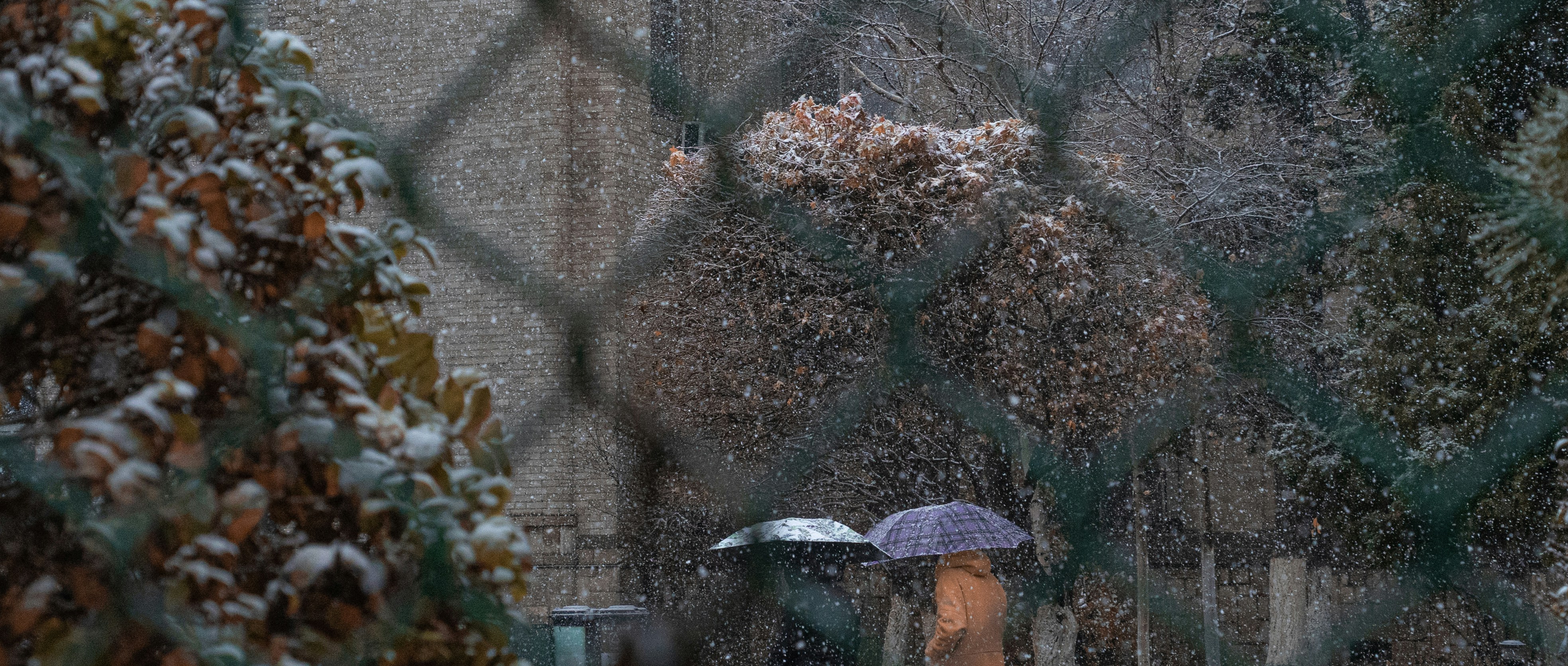 Two Umbrellas in Snowfall Under a Weathered Fence