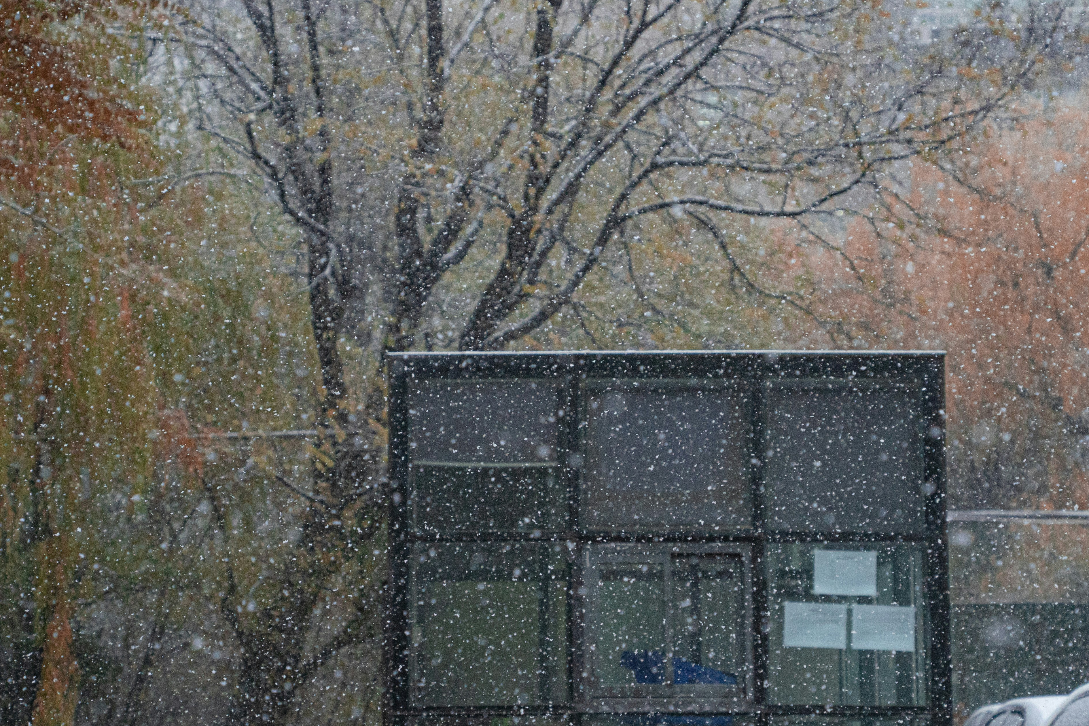 Snowfall Over a Dim Bus Stop: Quiet Winter Pause