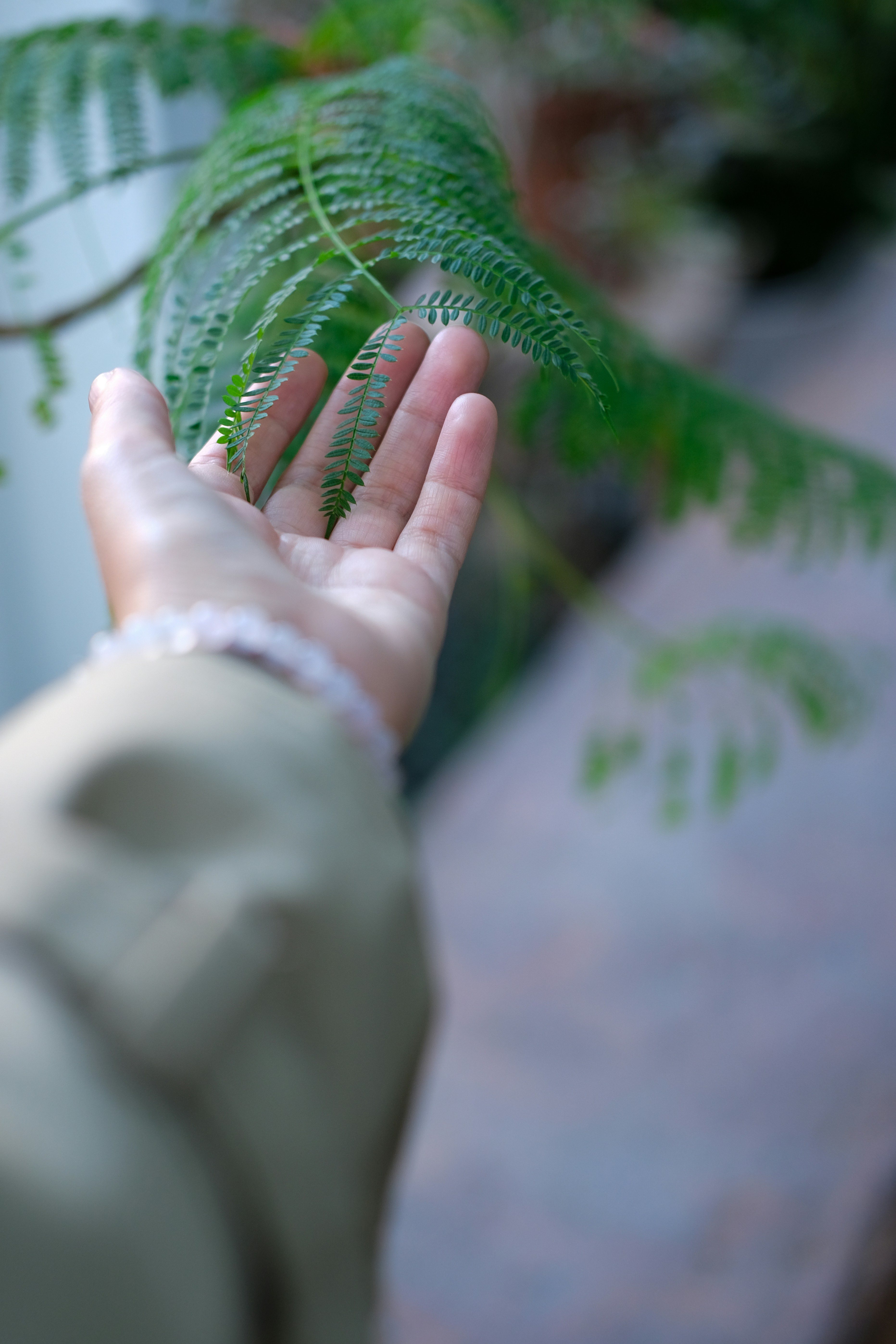 A hand holding a leaf photo – Free Finger Image on Unsplash