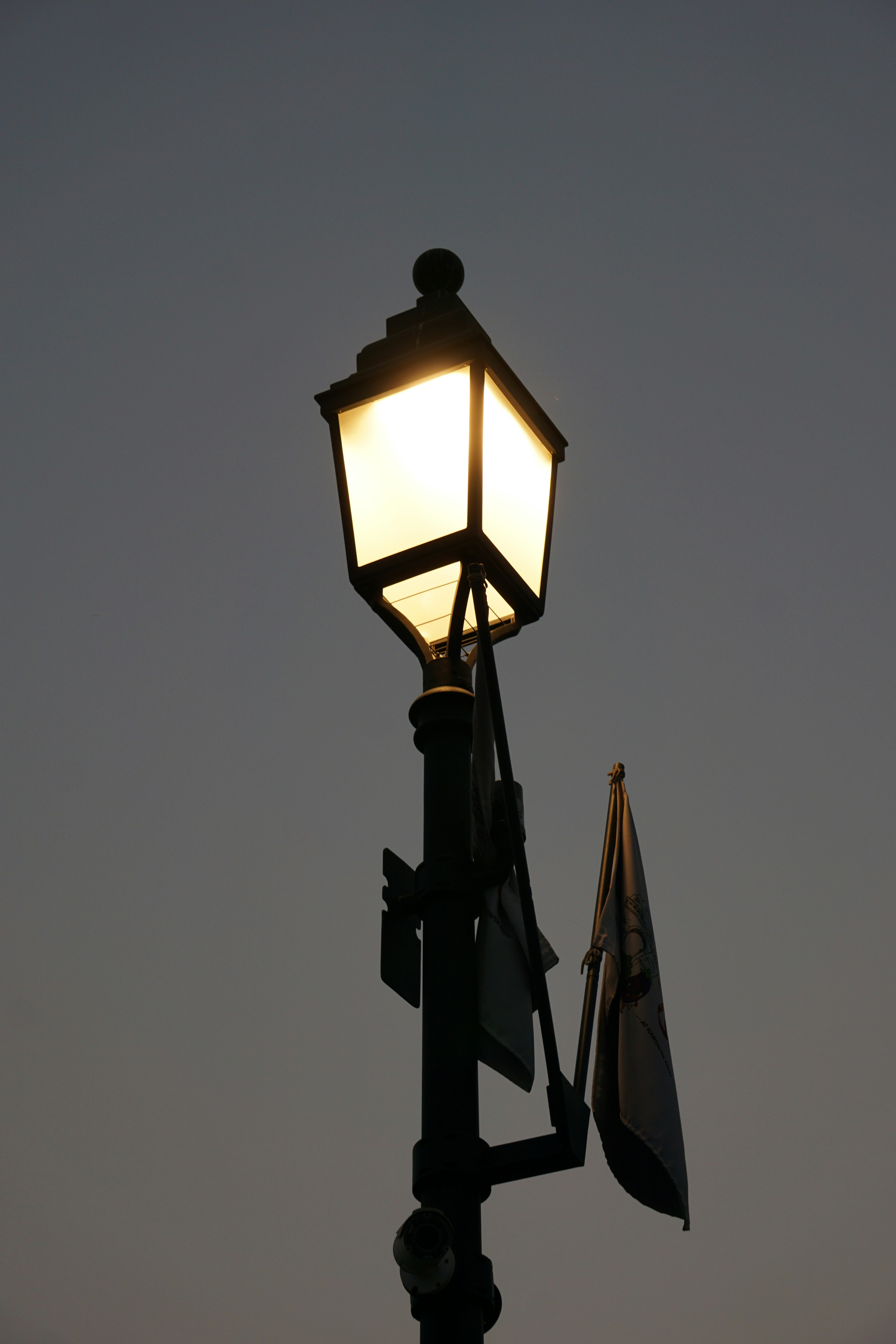 Photo by Rohit Ranjan with Sony Alpha 6000