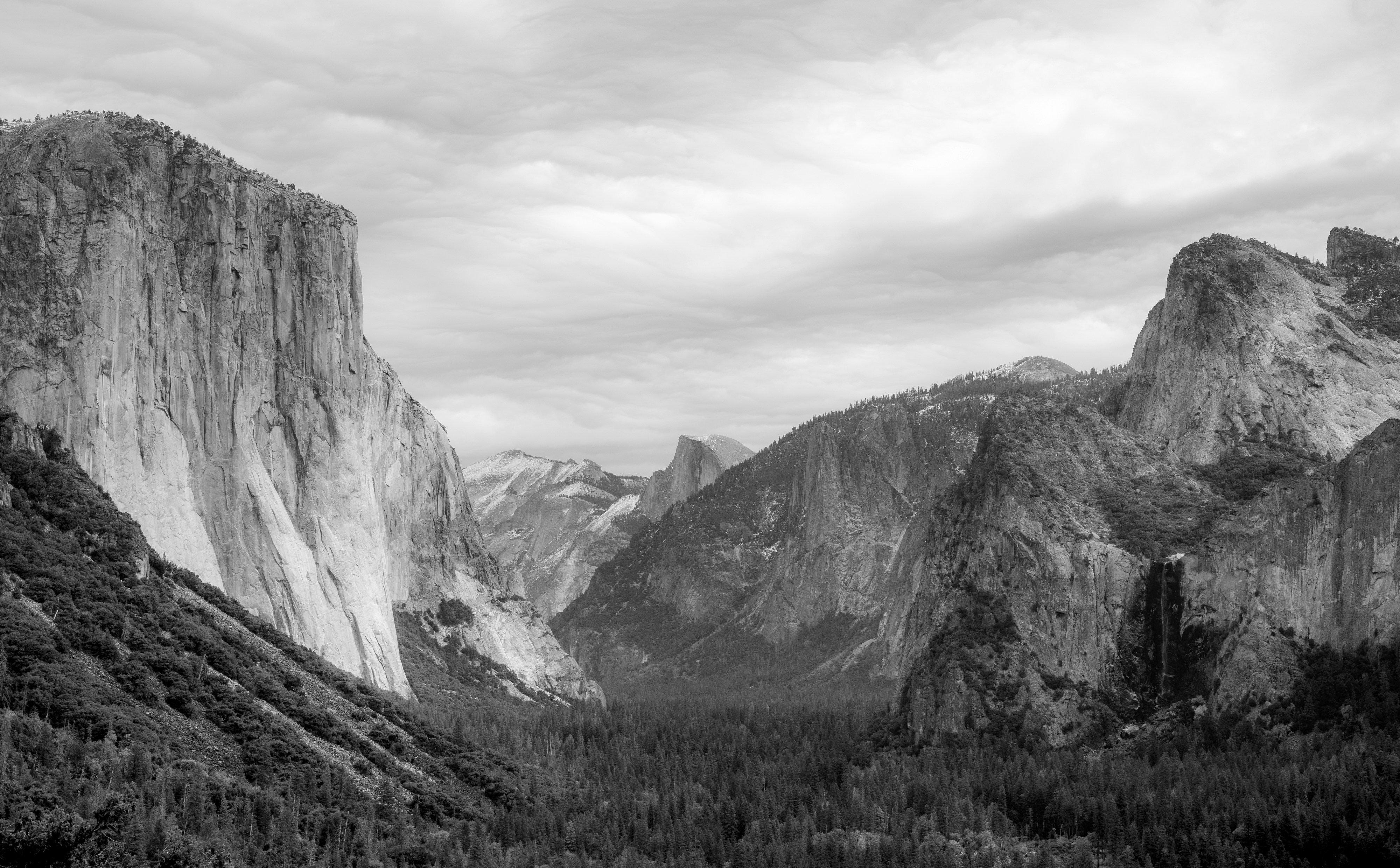 Alex Simpson (@m_simpsan) | Unsplash Photo Community