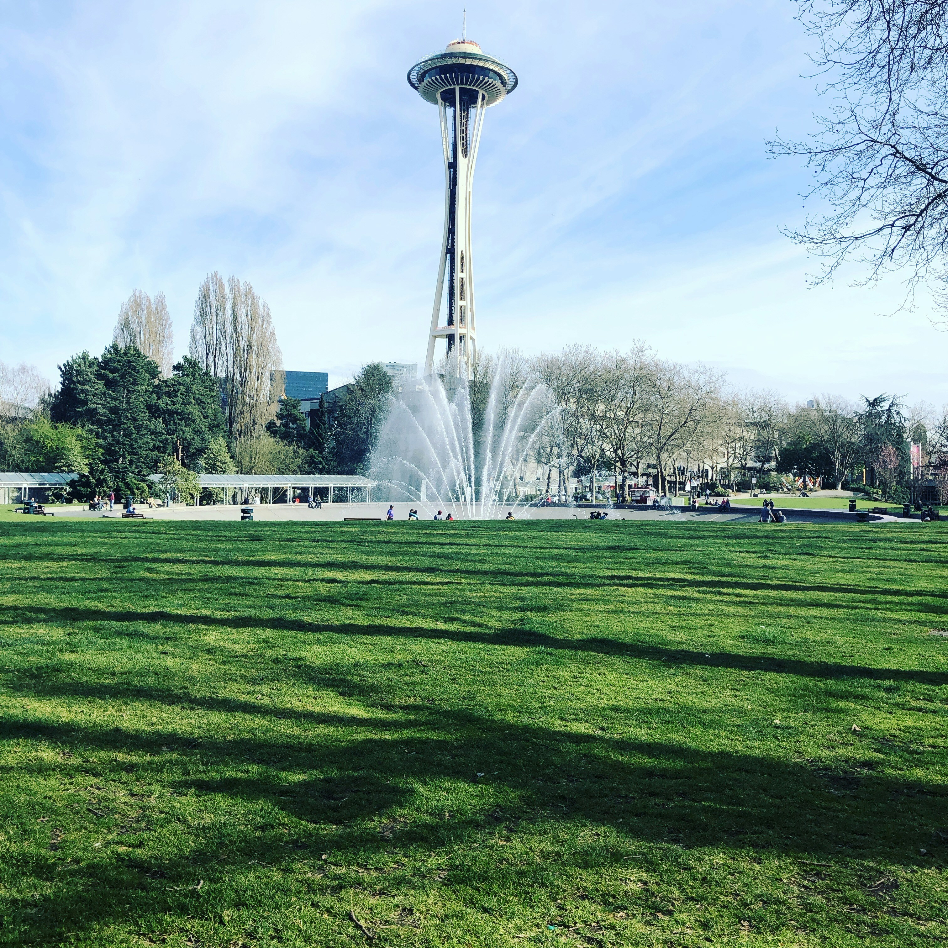 Vertical Icon Over Cascading Water: Space Needle Framing Seattle's International Fountain