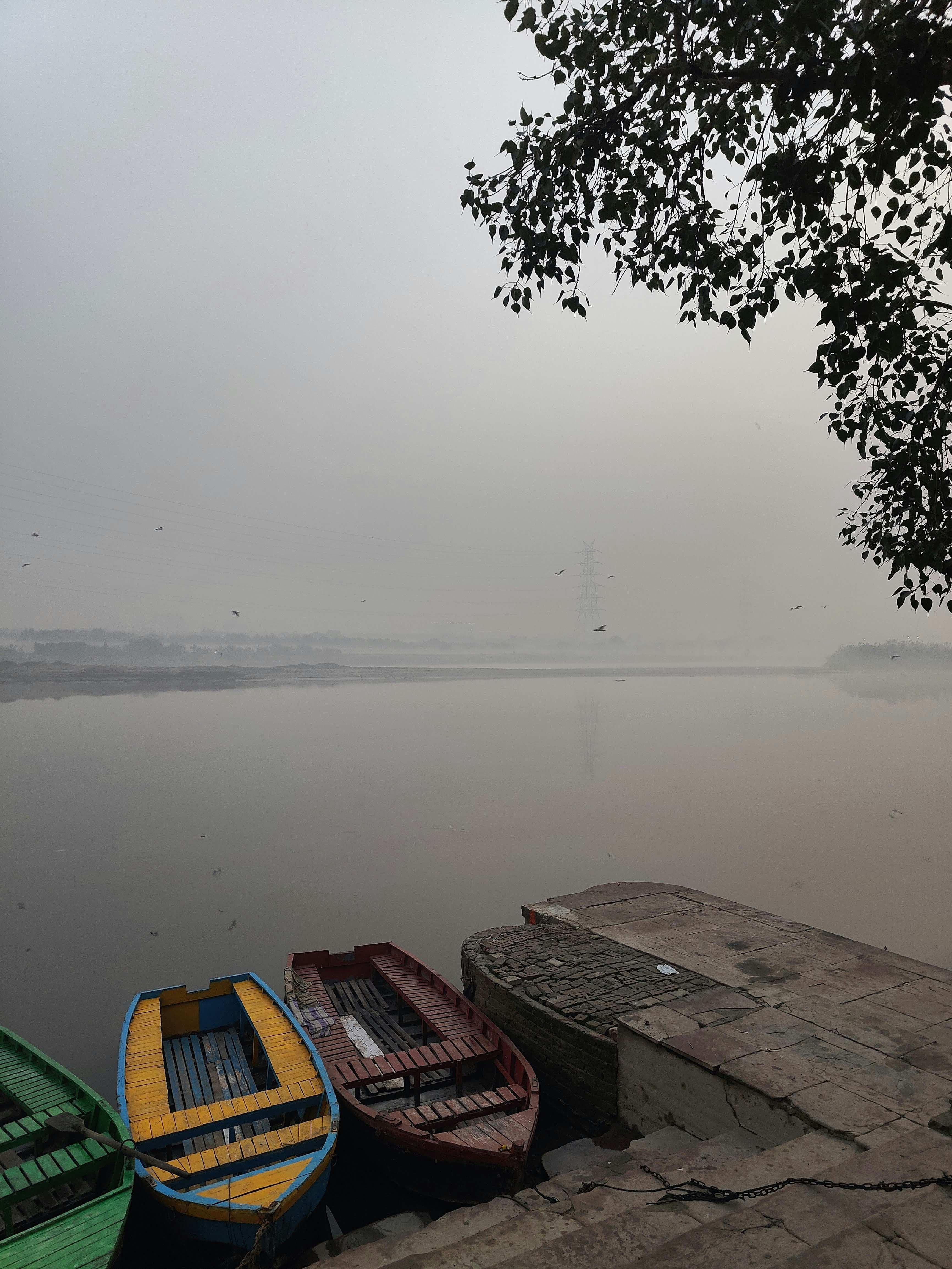 Sample photo from OnePlus 10T