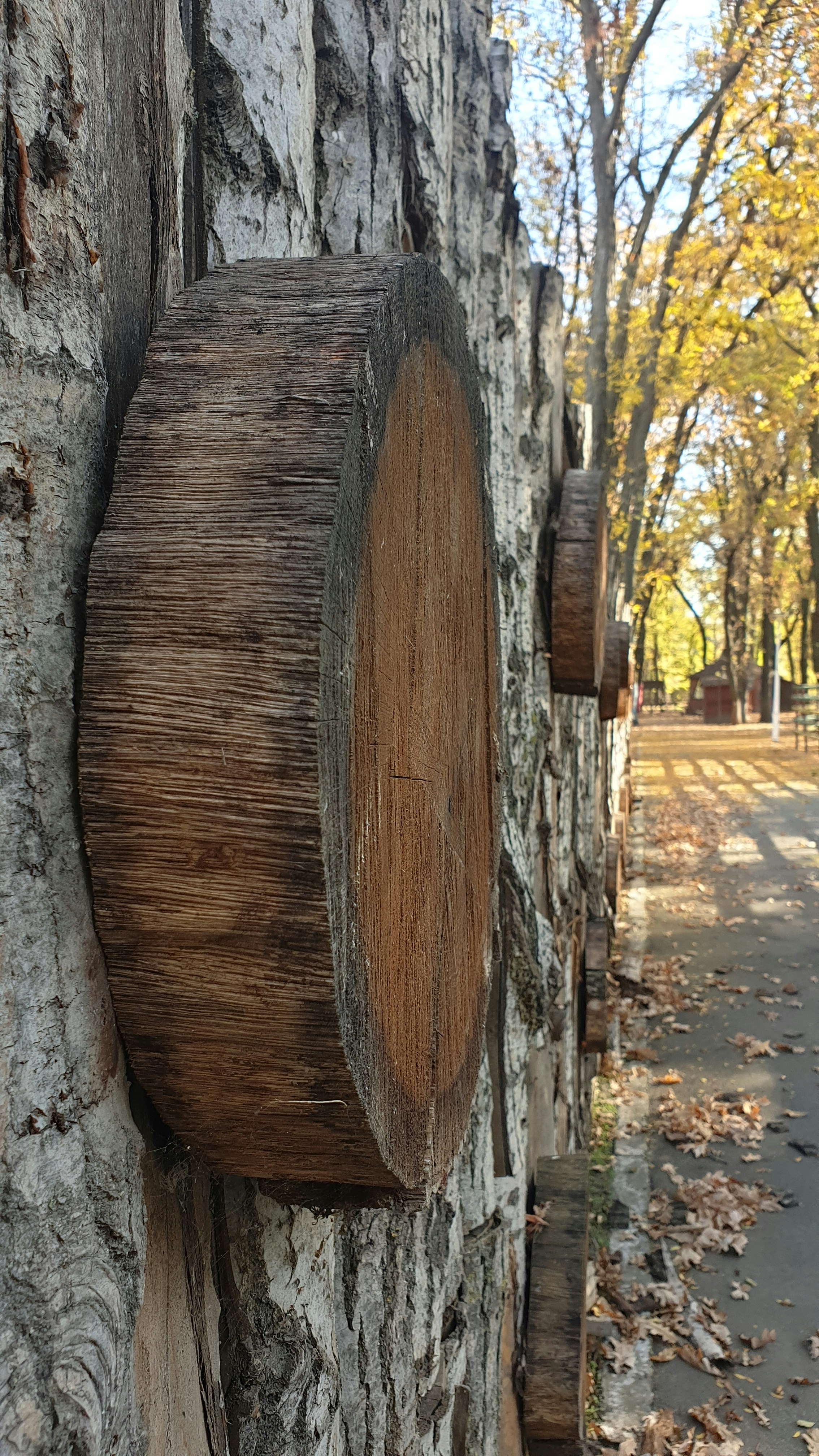 Tree trunk used as decoration on a fence.