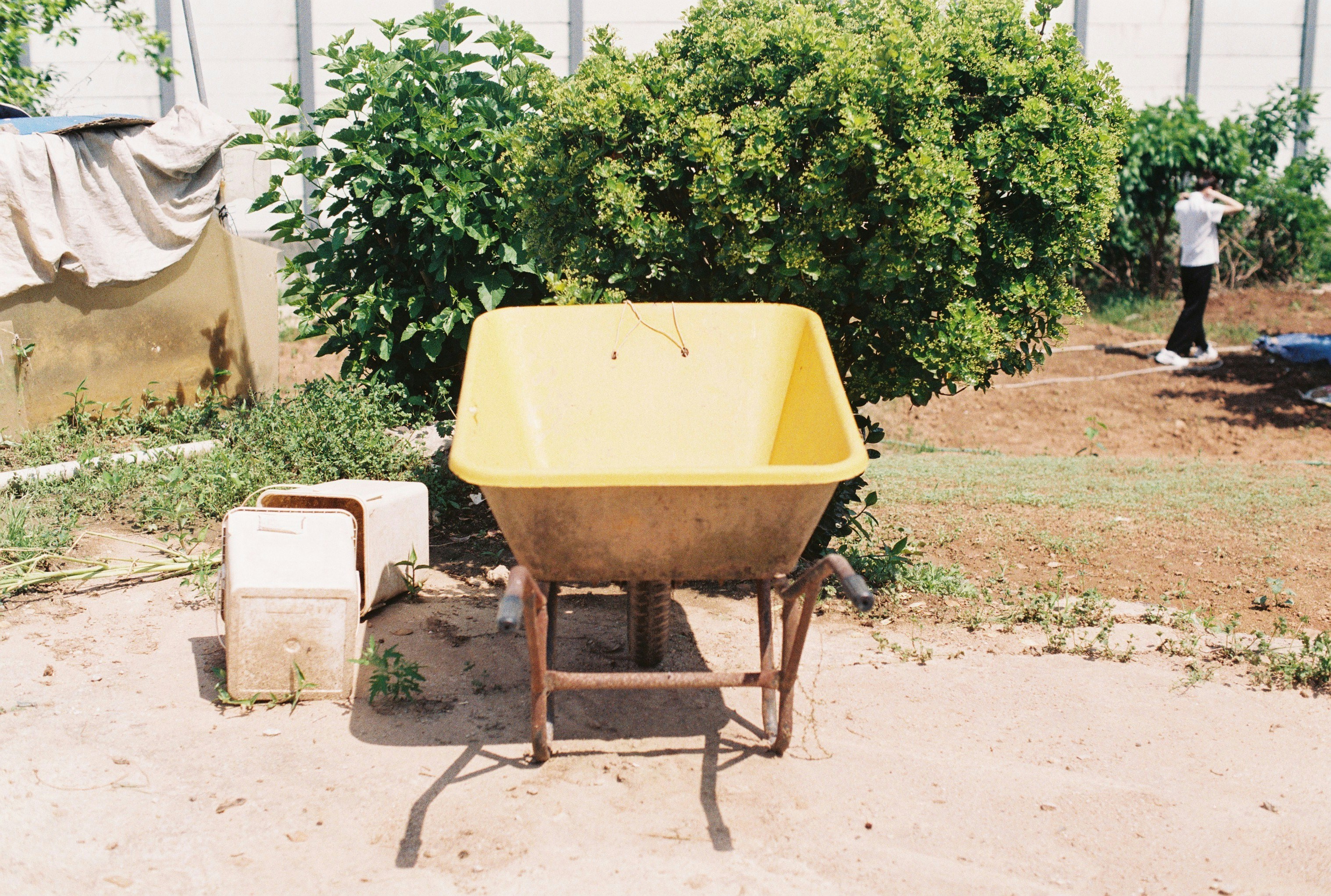 Sun-Bleached Wheelbarrow Guarding a Quiet Backlot