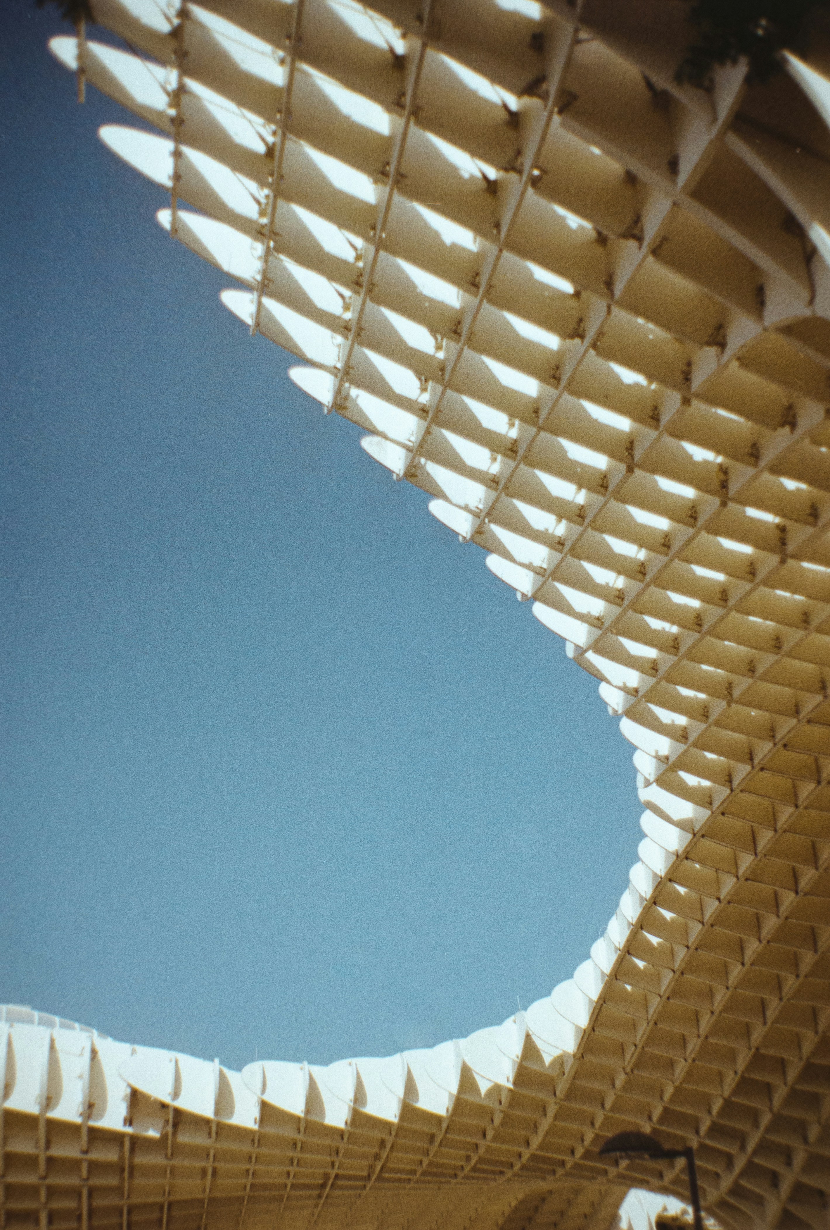 Photo by Julius Drost with Minolta X-700