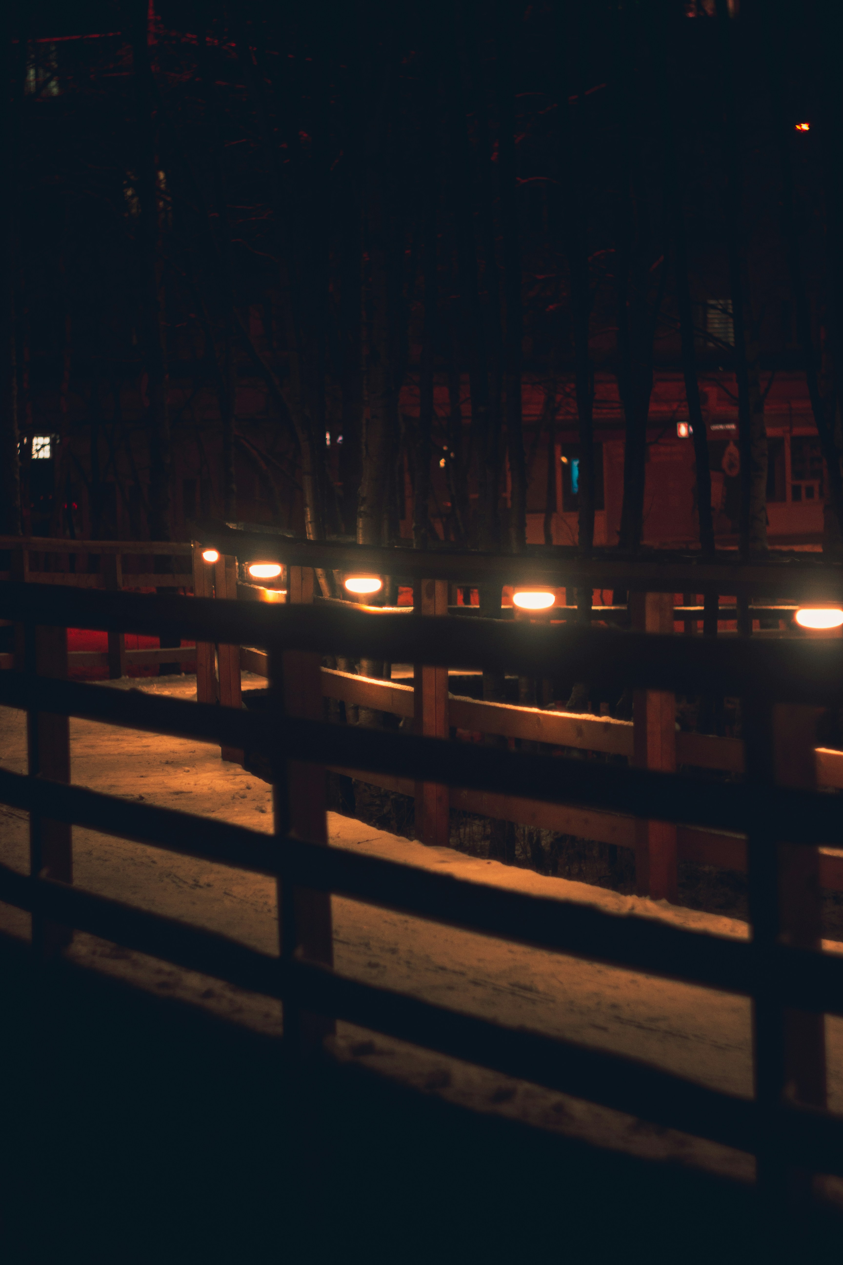 Shoot on Helios 44-2 M42 (80s) Instagram: @_zitzdorovo_
