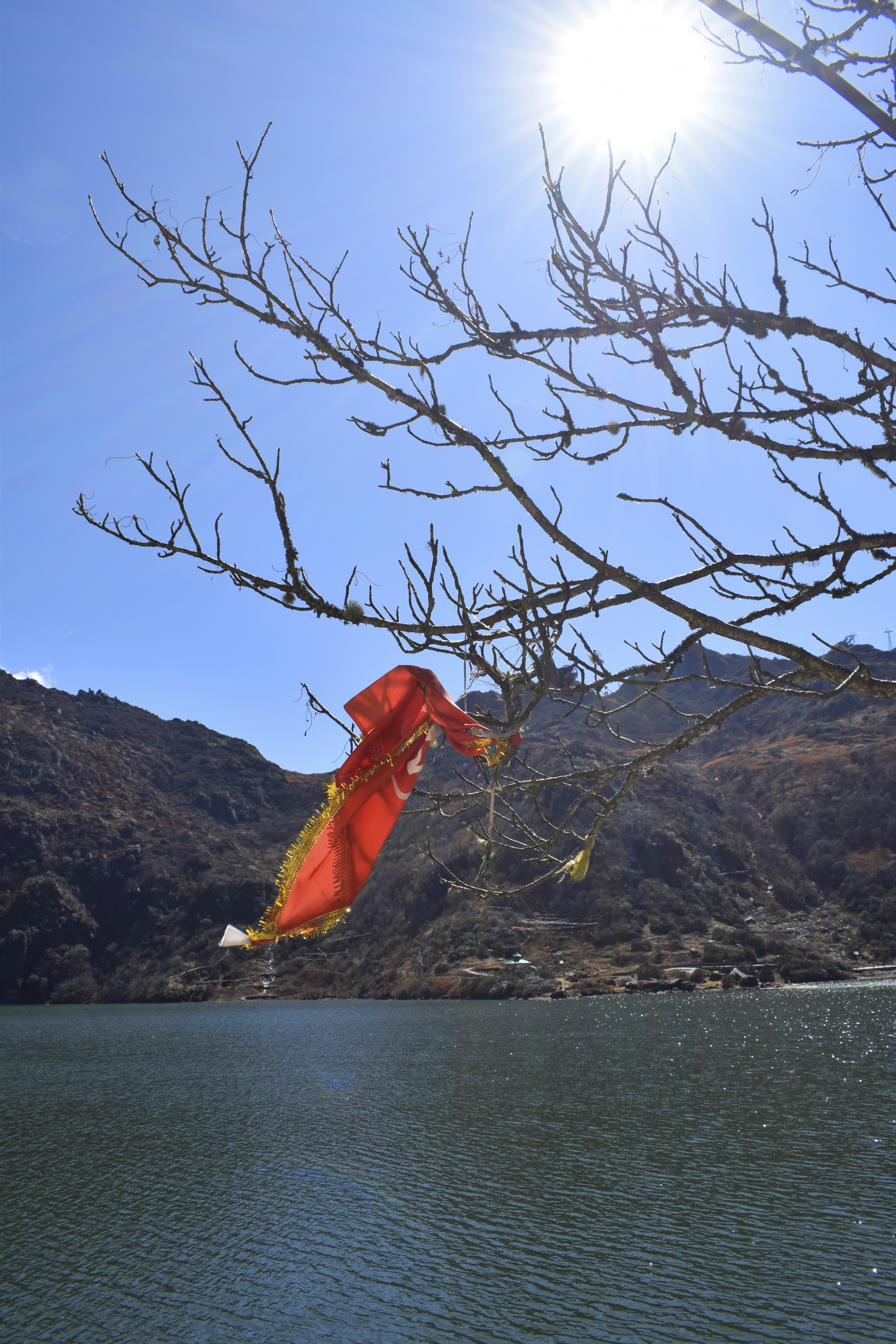 Scarlet ribbon fluttering from a bare branch over a sunlit alpine lake