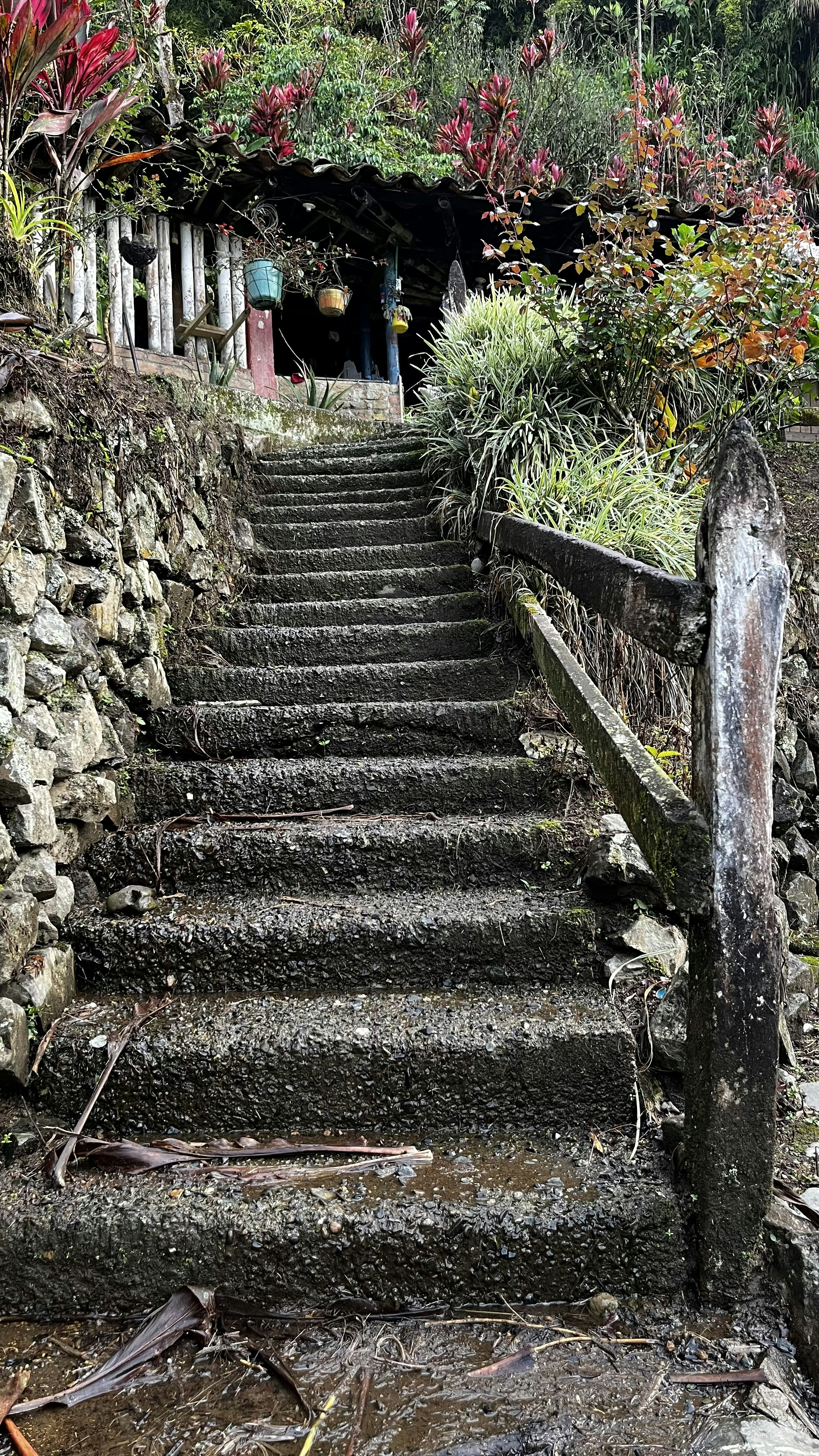 Moss-Greened Staircase to a Hidden Garden Entrance