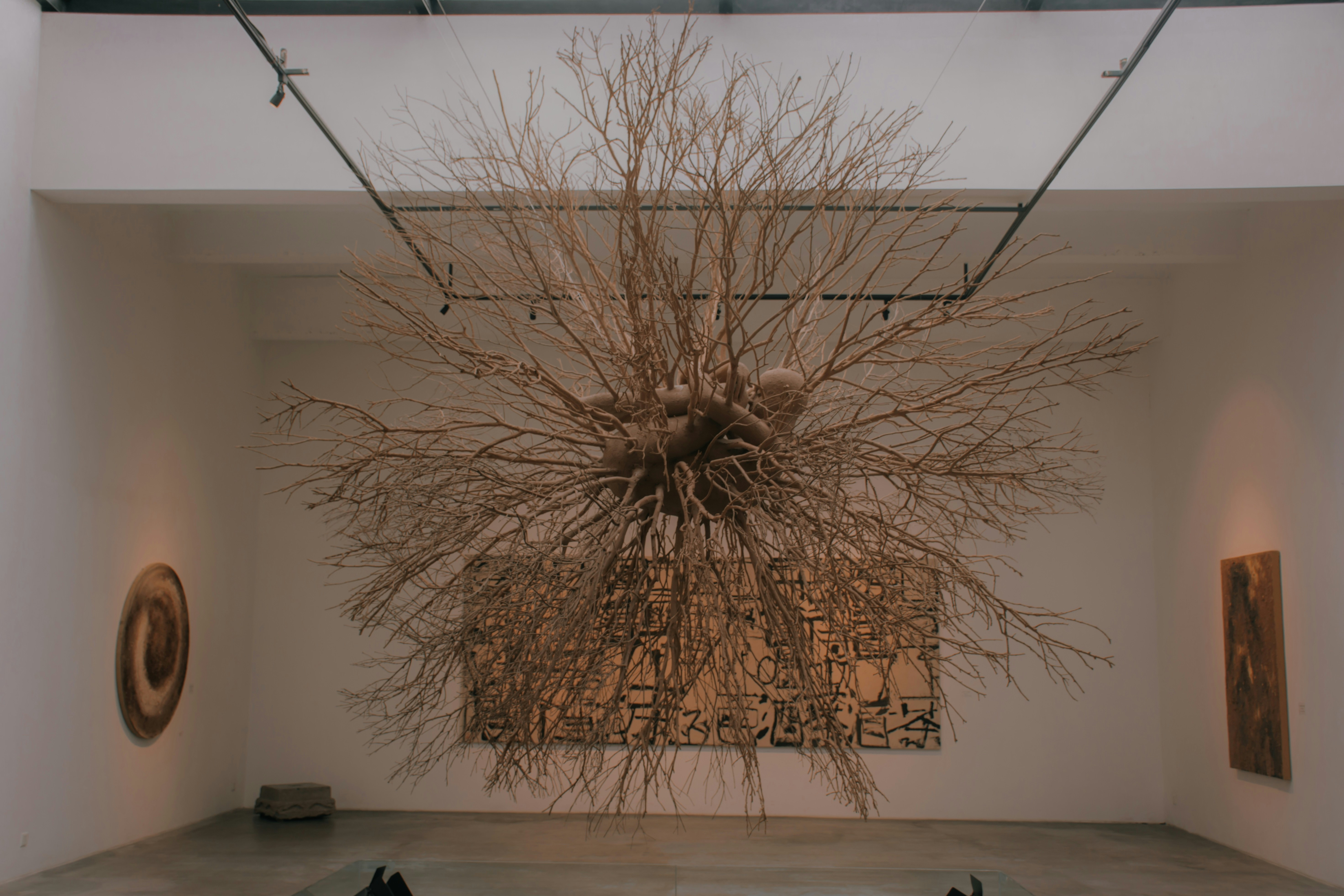 Nebulous Arboreal Crown: A Tree Sculpture Hangs at Center Stage