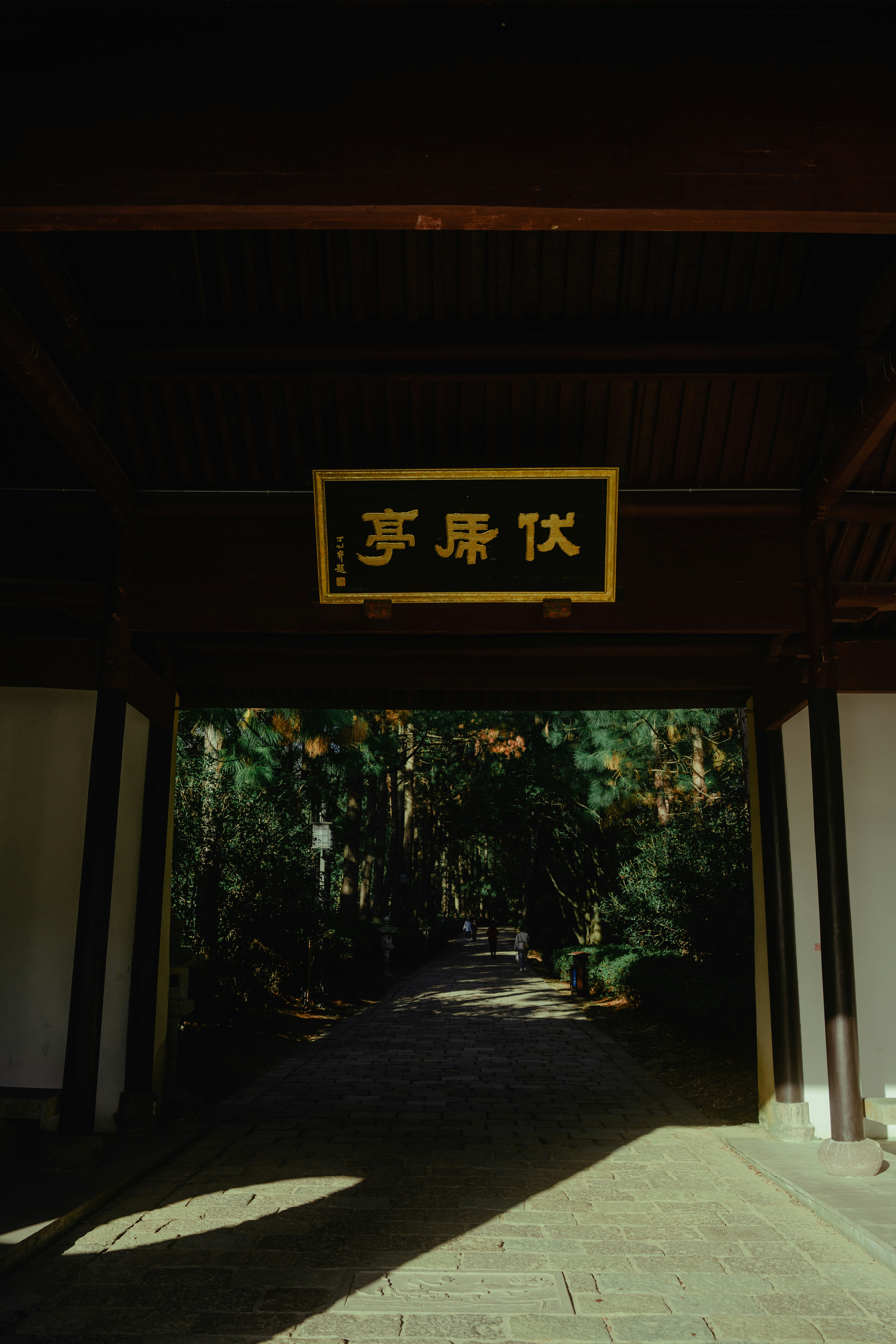 Gateway to the Garden: Light and Shadow through a Timbered Arch