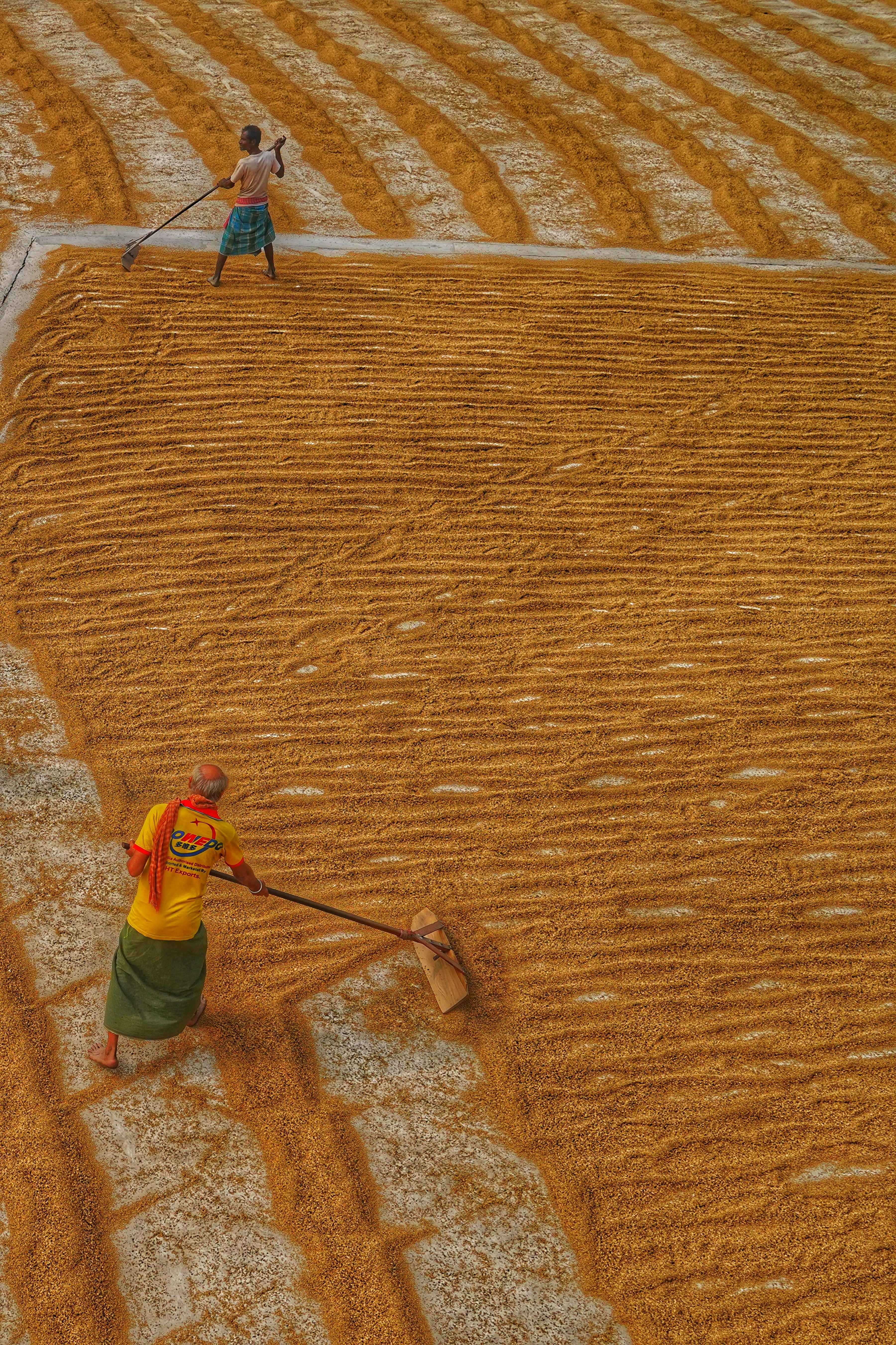 Photo by Dibakar Roy with Sony Alpha 7C