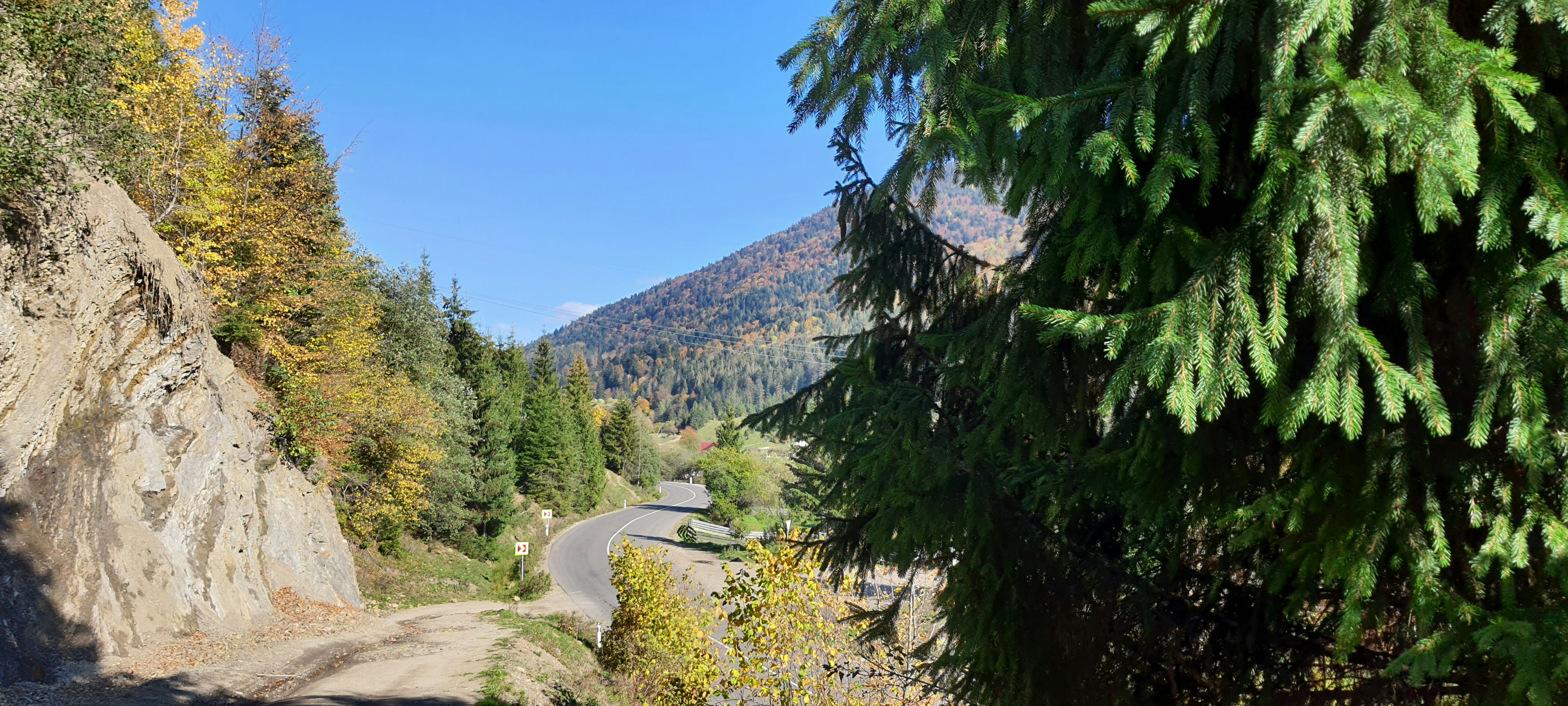 A winding mountain road carves through a forested gorge with autumn foliage and distant peaks.