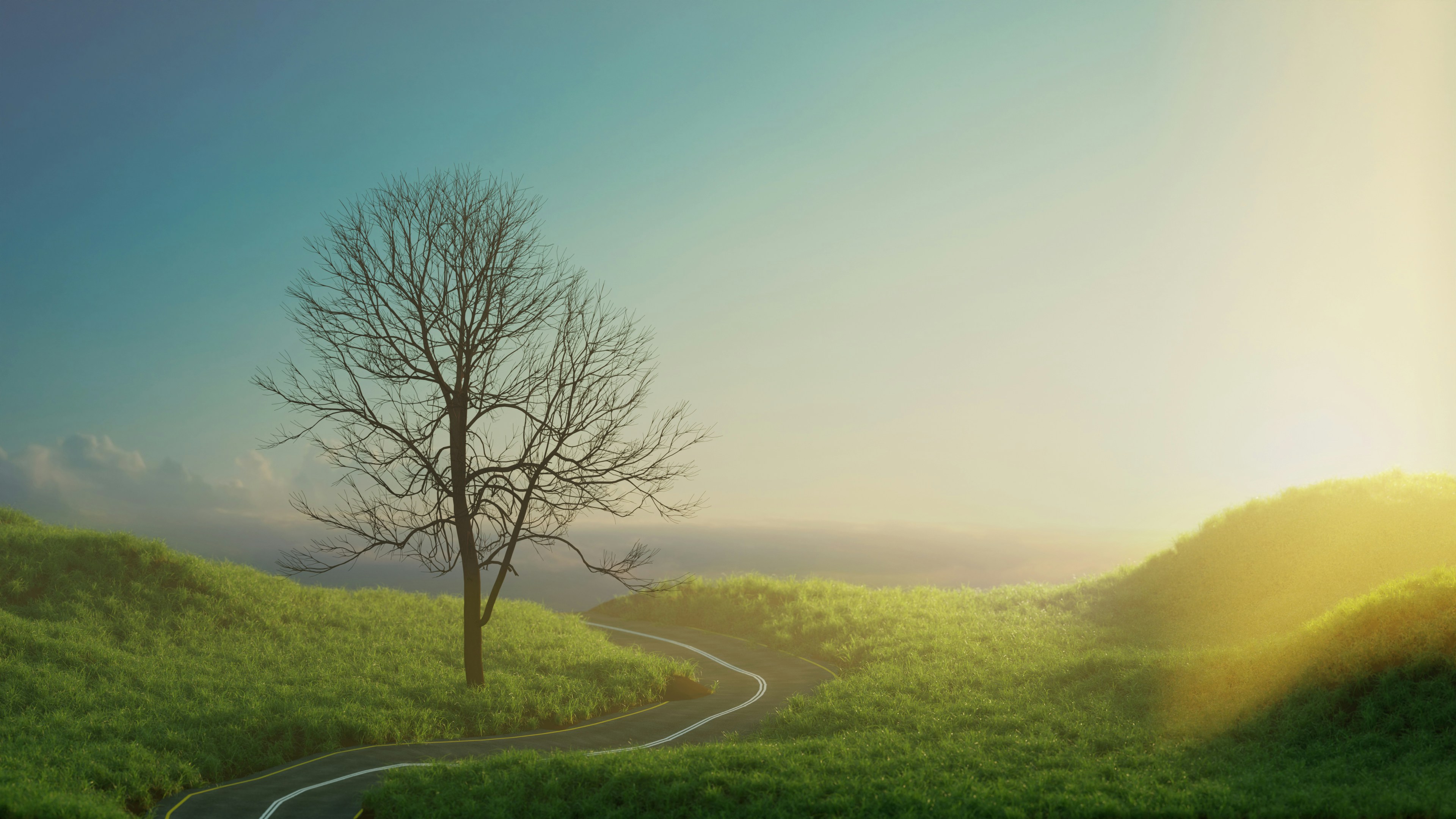 A tree on a road photo – Free Bhubaneswar Image on Unsplash