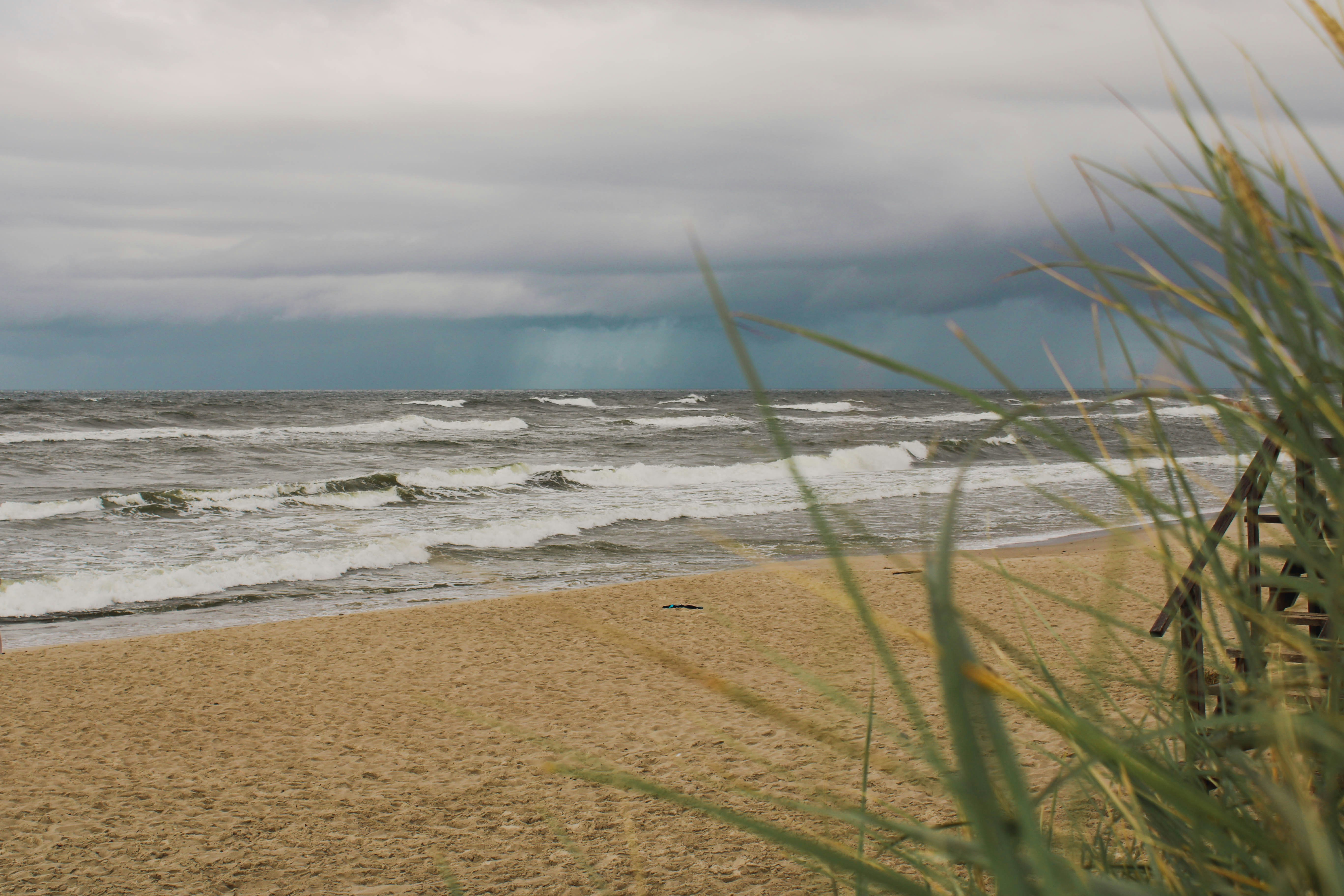 Wind-Sculpted Shore: Grasses Framing a Cloudy Horizon