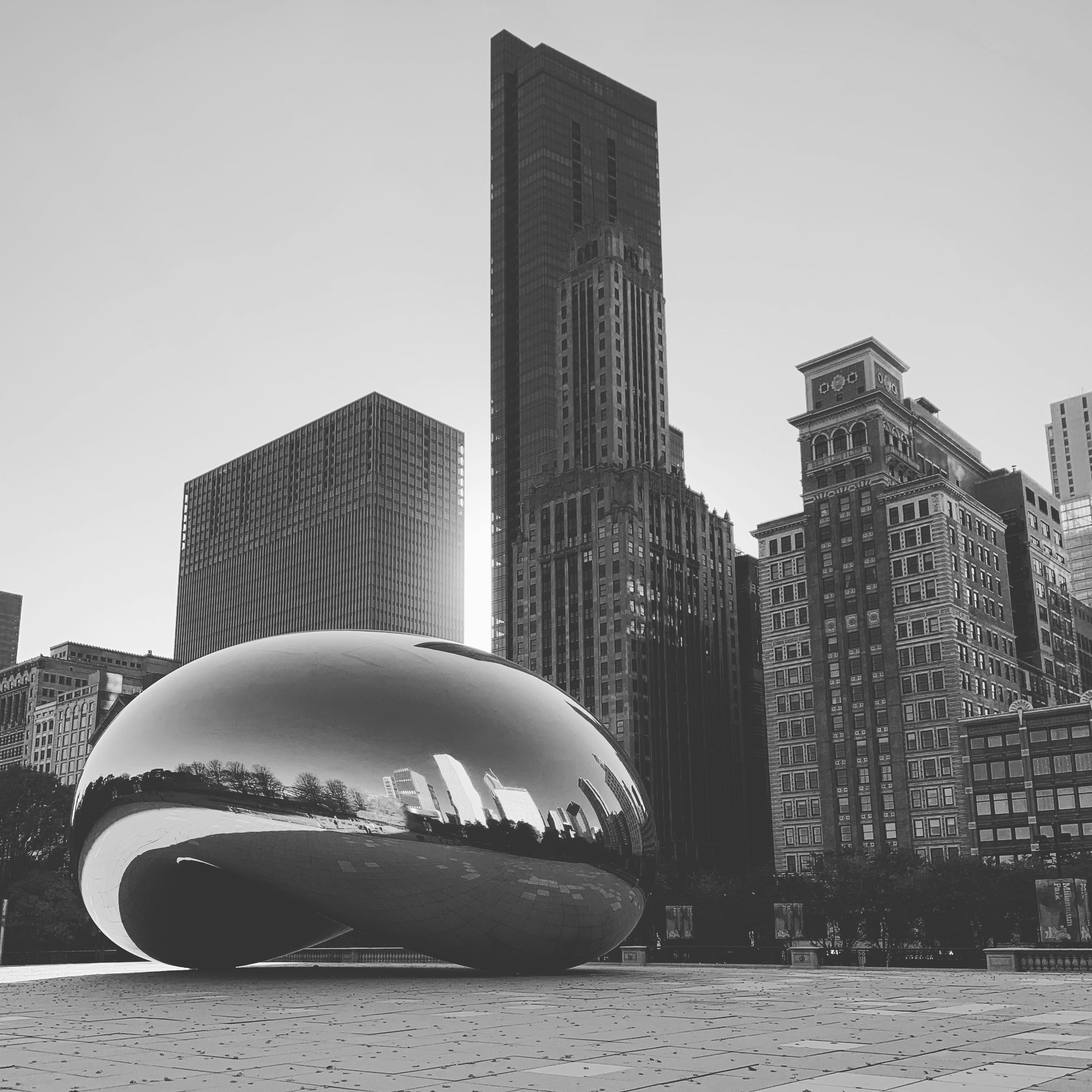 Urban Echo: A Shining Capsule Among Skyscrapers