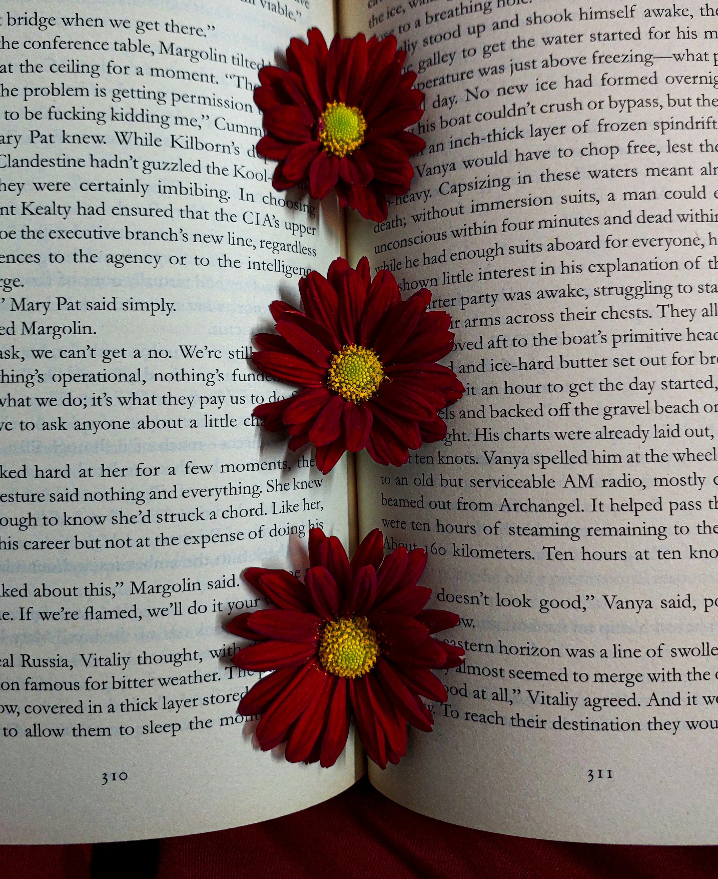 Isha Ralhan (@isha16) | Unsplash Photo Community