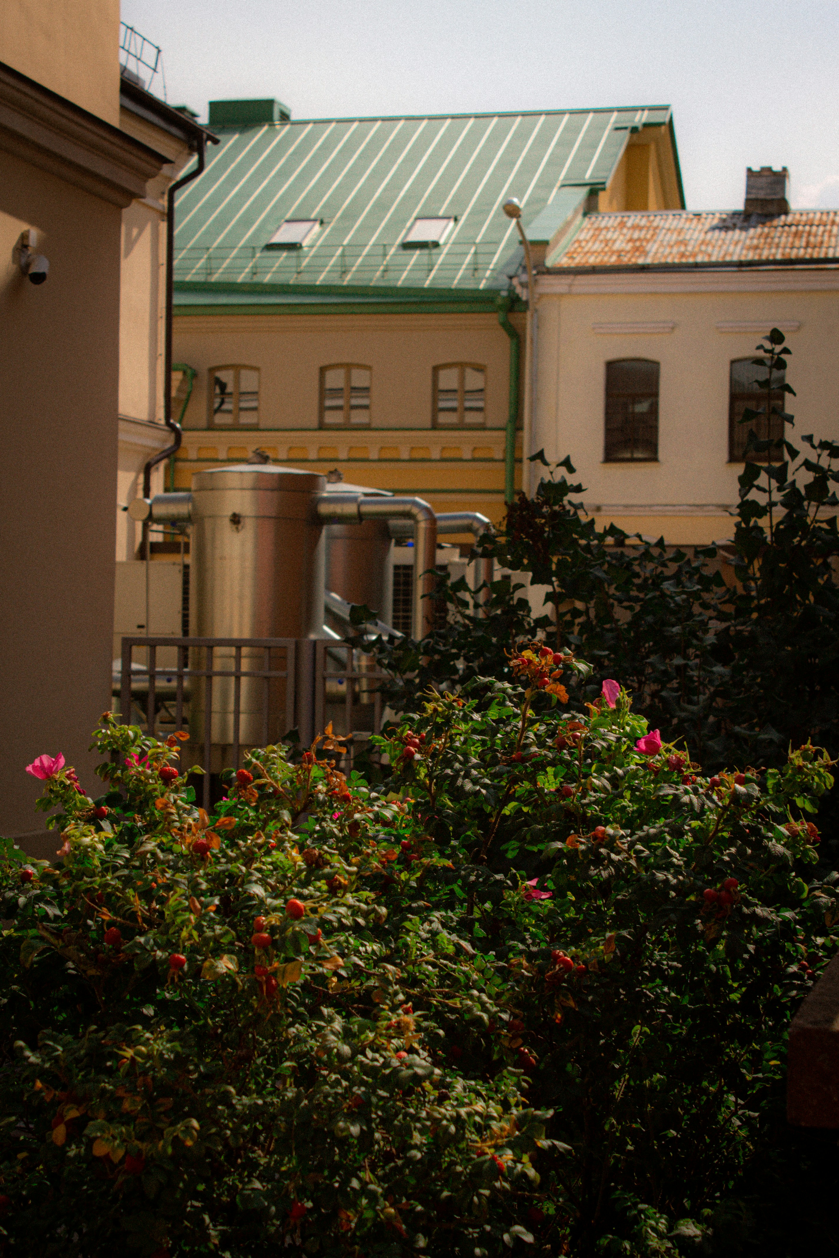 Photo by Valeria Klys with Canon EOS 1100D