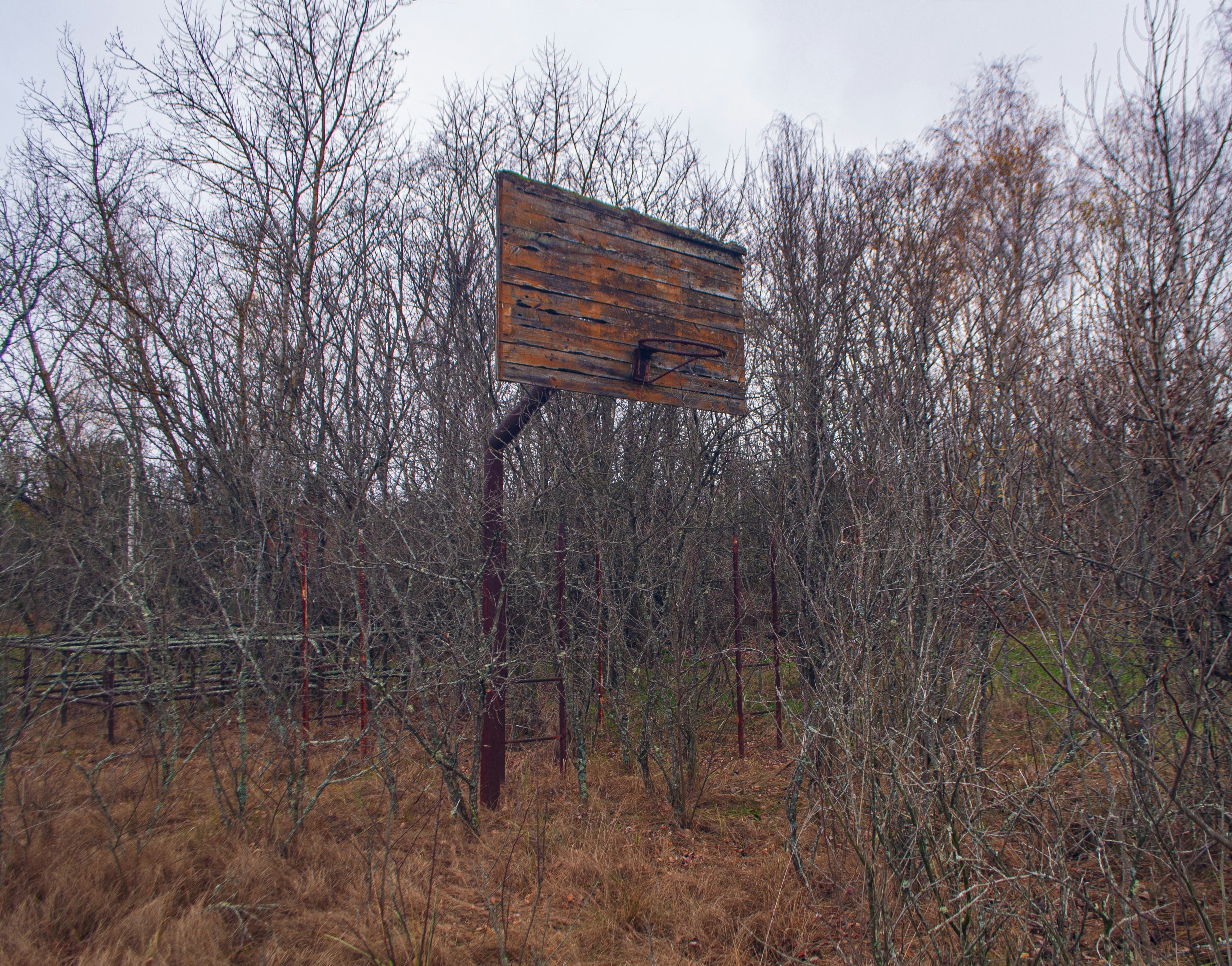 Forgotten Court: The Echoes of Play