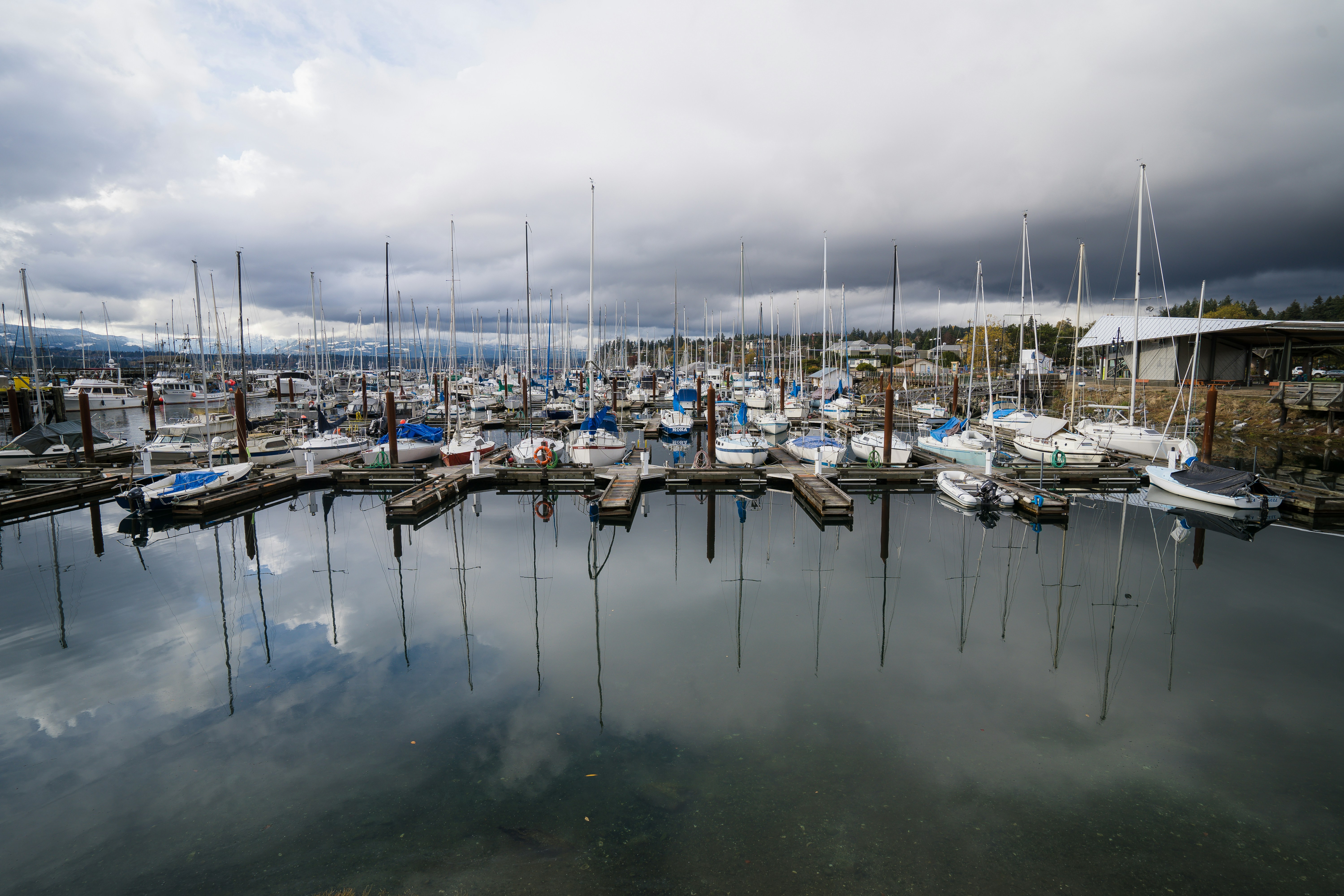 A marina full of boats photo – Free Comox Image on Unsplash