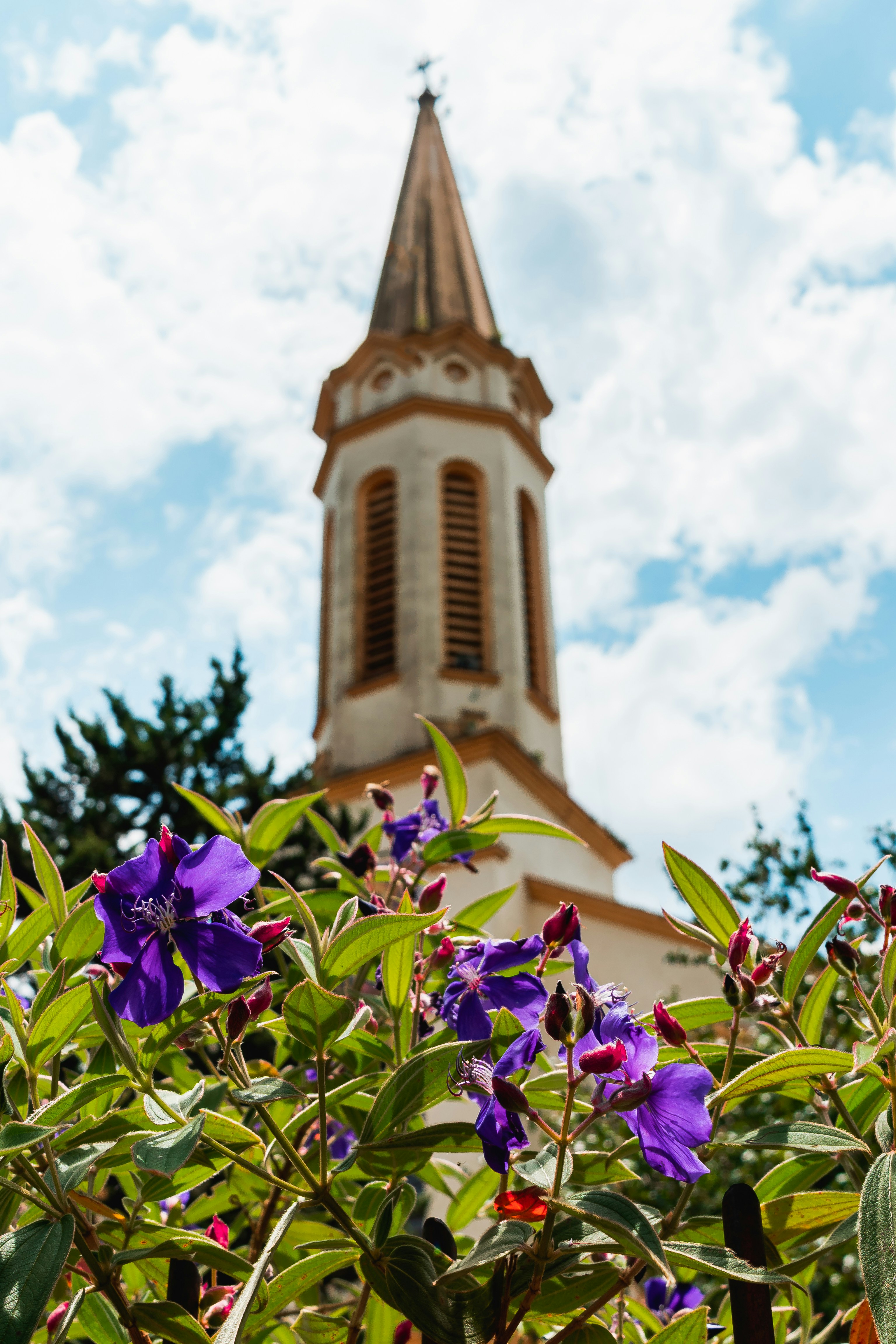 Blooming foreground frames a distant church spire under a bright sky