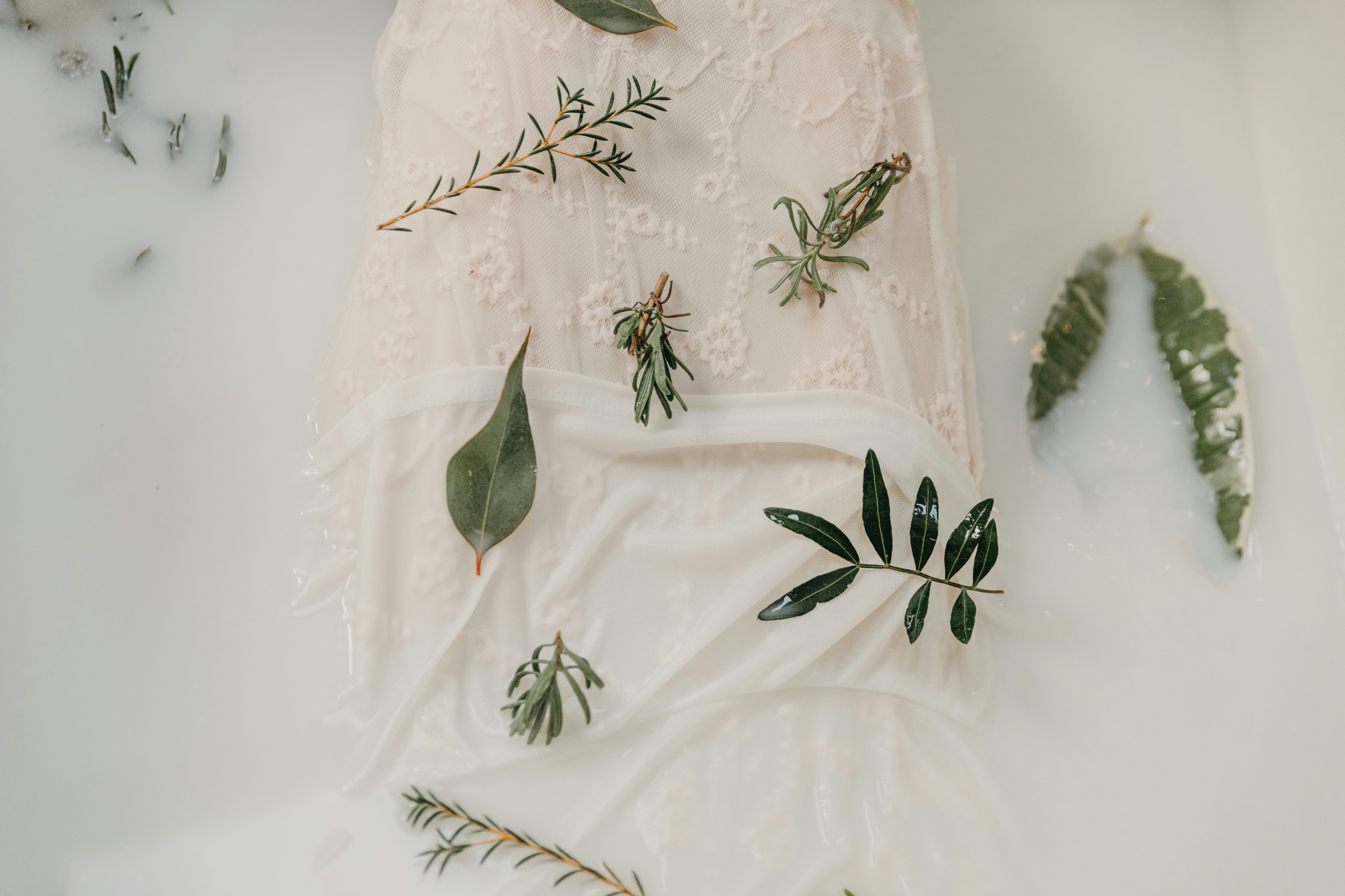 Floating Greenery on Milky Veil