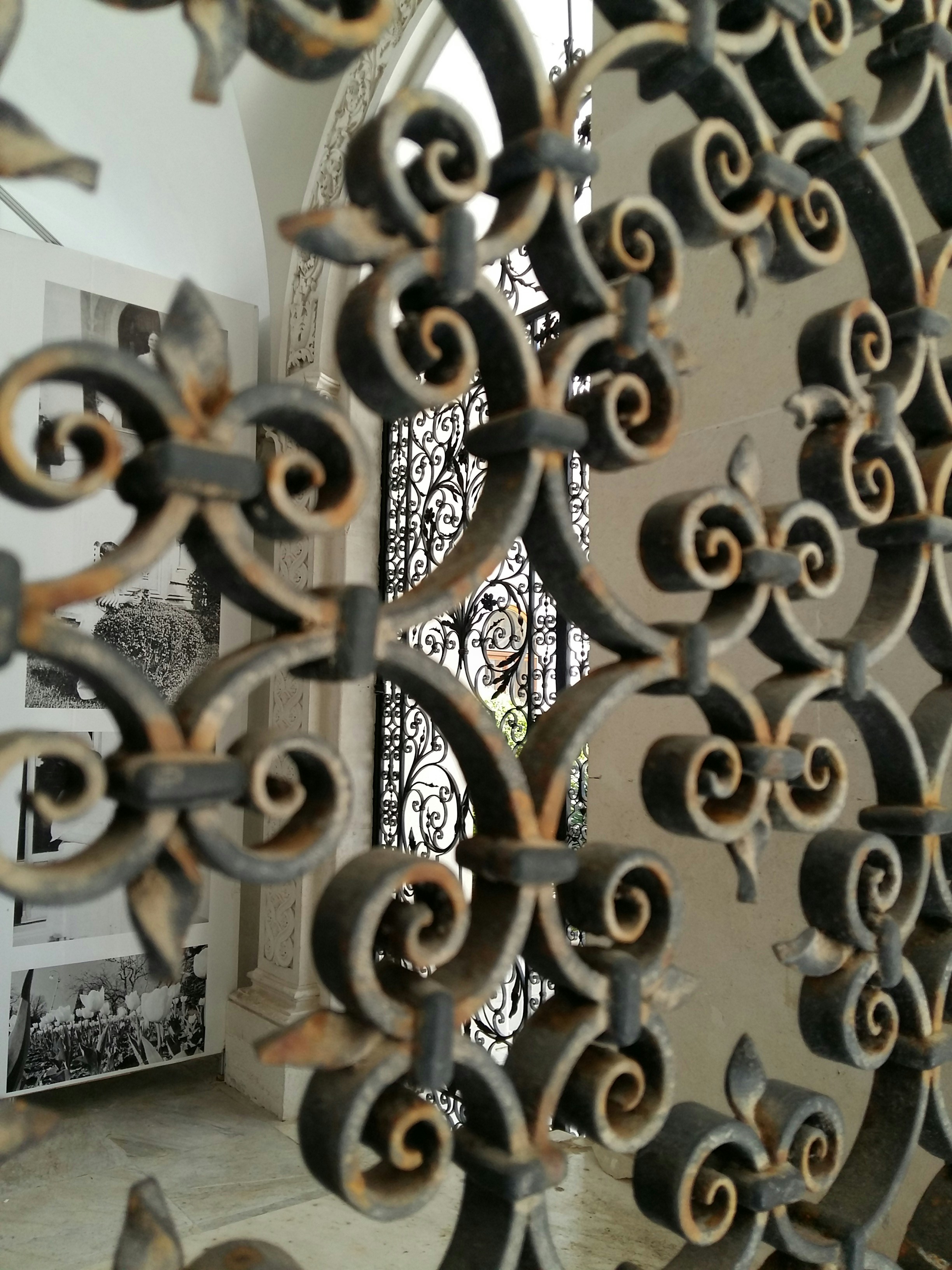Ornate Gate Through the Veil: Framed by Curled Ironwork