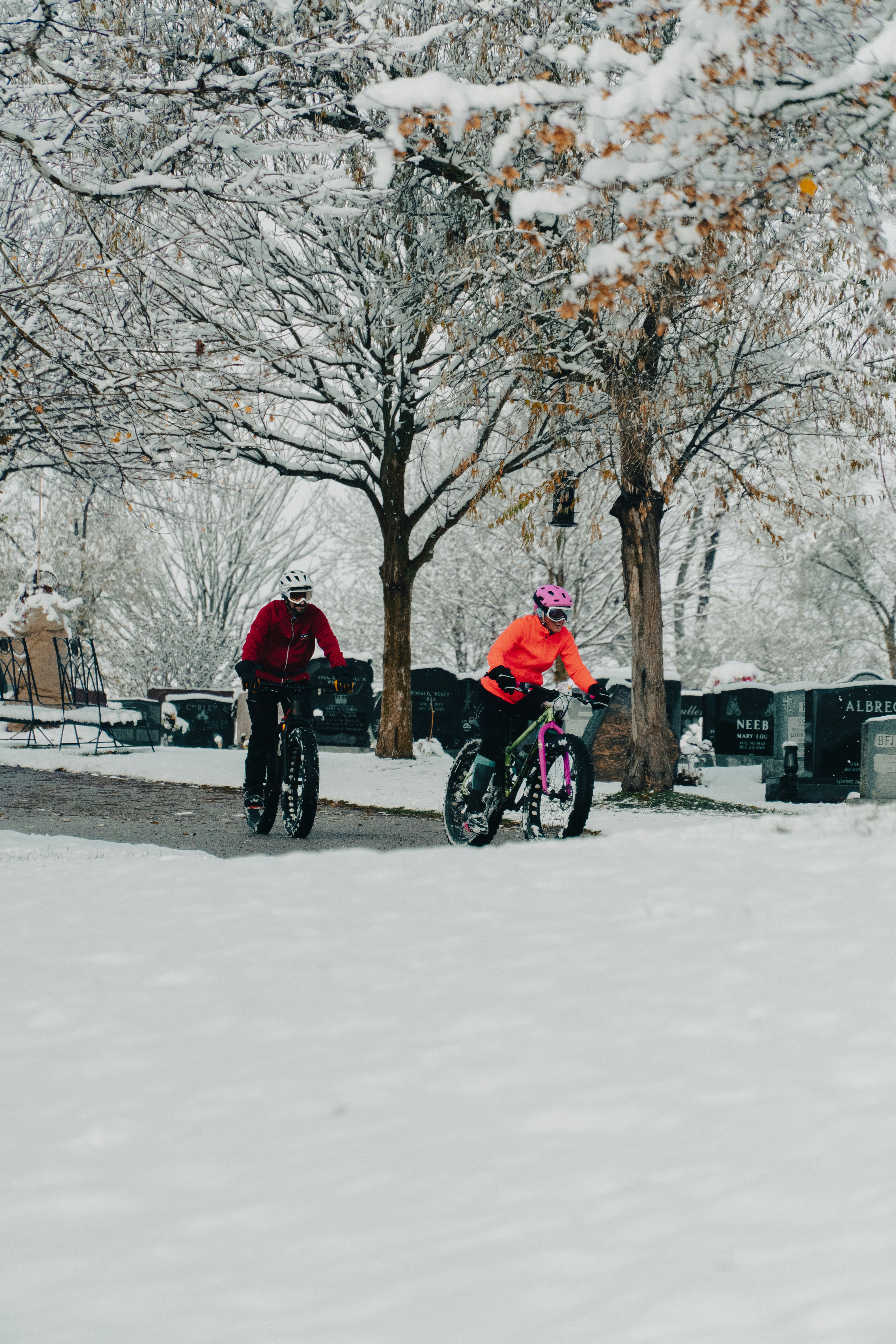 Snowbound Ride: Neon Jackets Cutting Through a Winter Park
