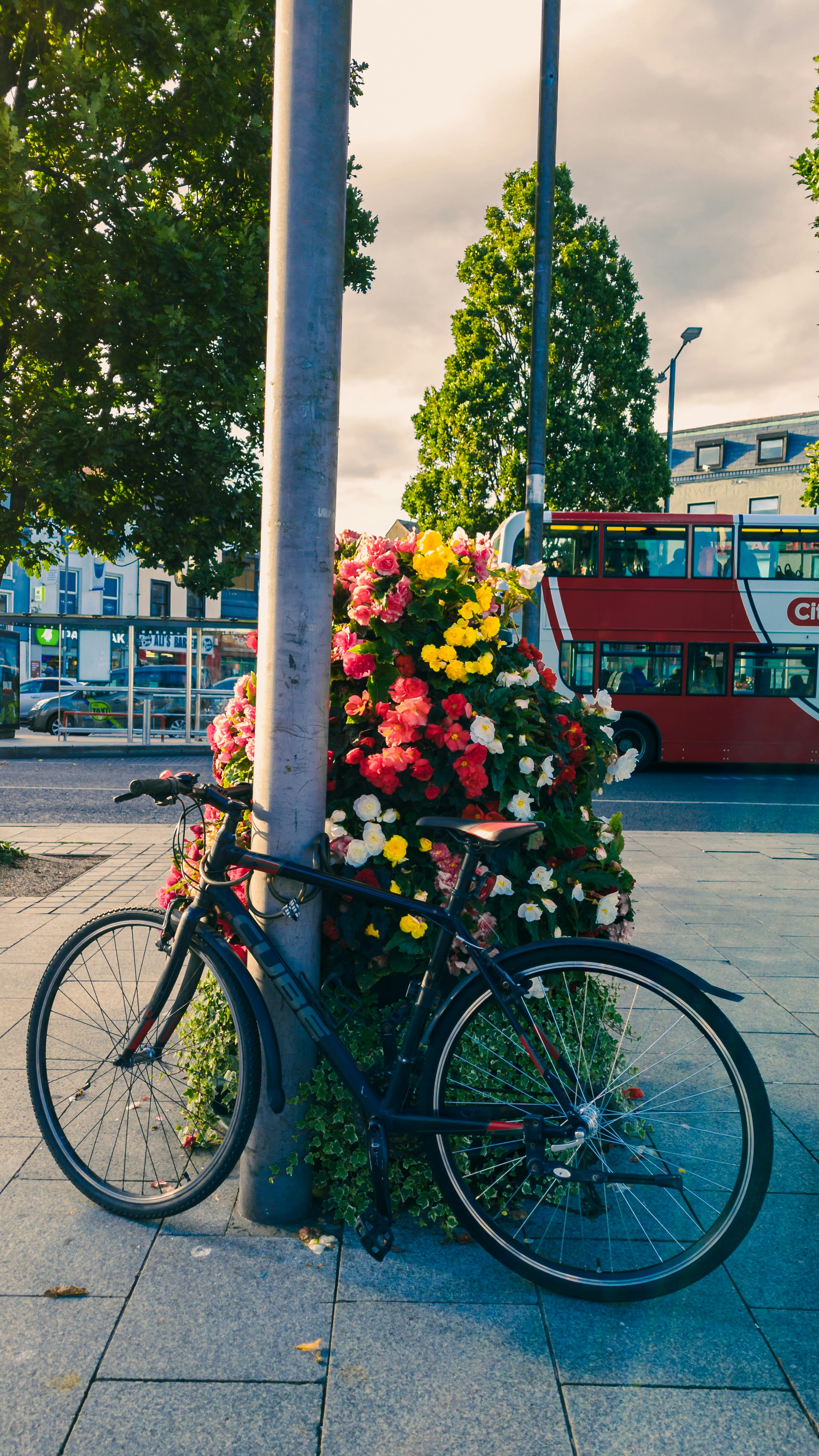 Floral Anchor by the Street: Blooming Pole and a Locked Bicycle