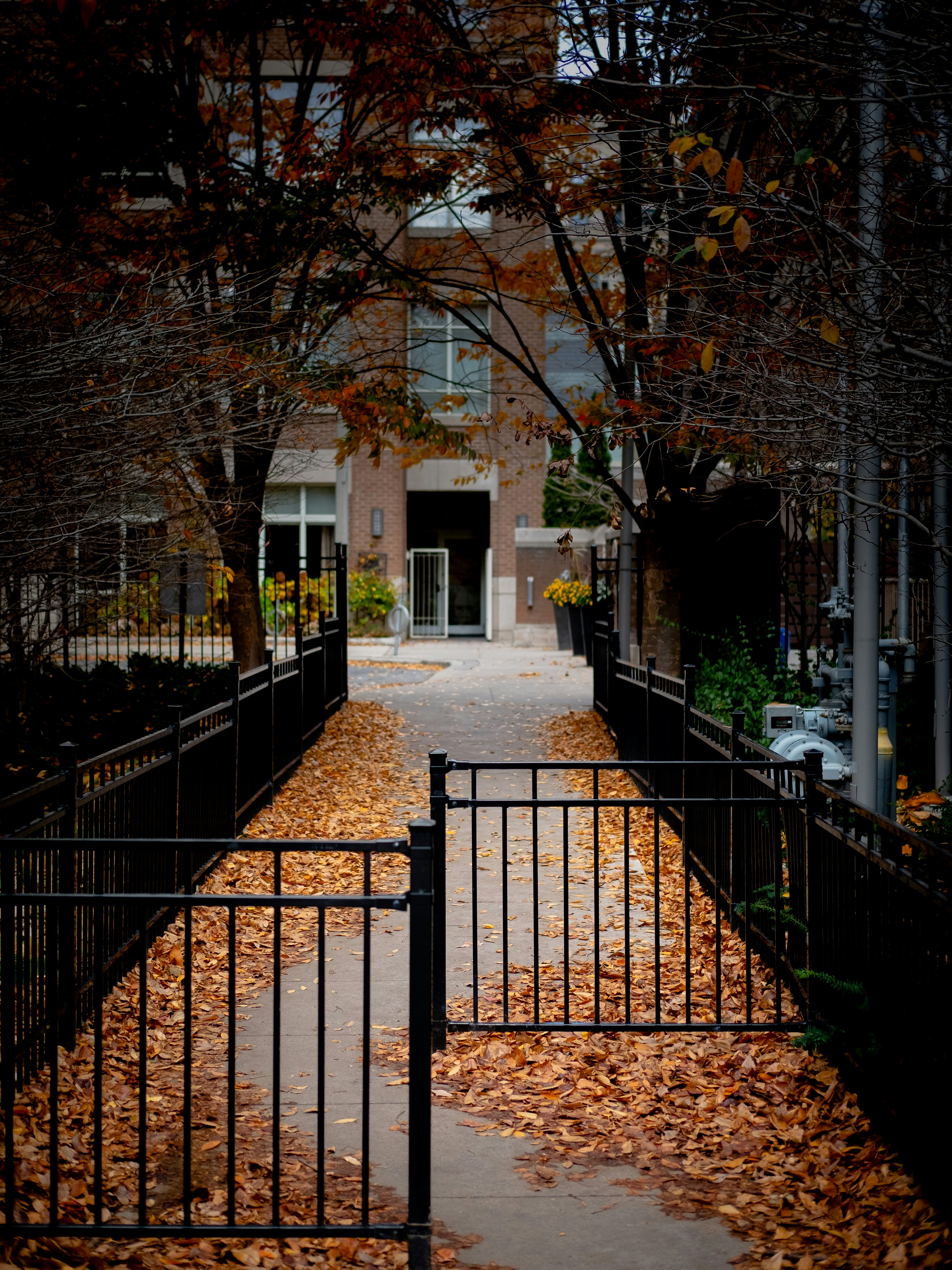 A gated walkway leading to a building with trees and a street photo ...