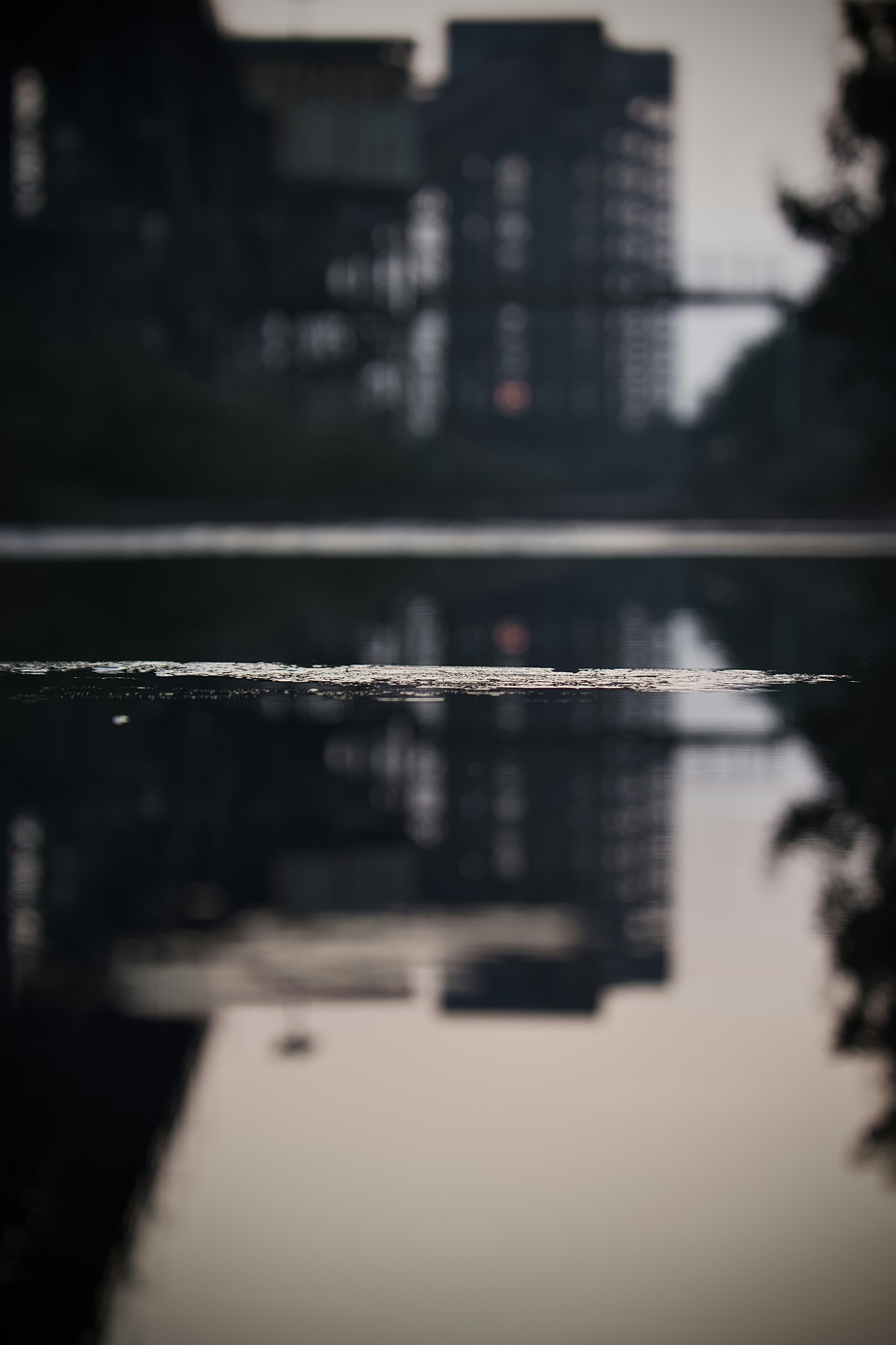 Photo by Arjan Pradhan with Canon EOS 200D Mark II