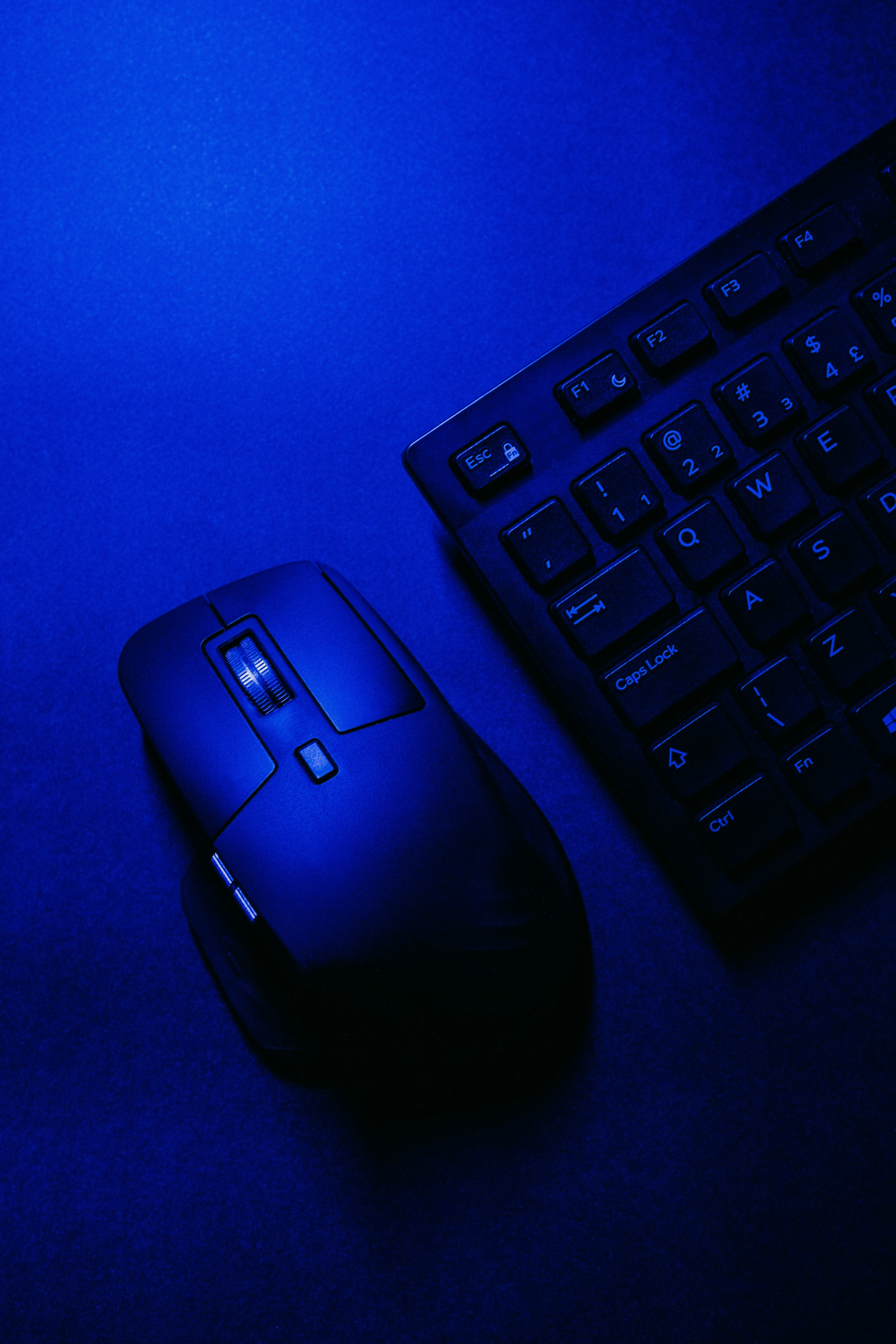 A computer mouse and keyboard photo – Free Computer Image on Unsplash