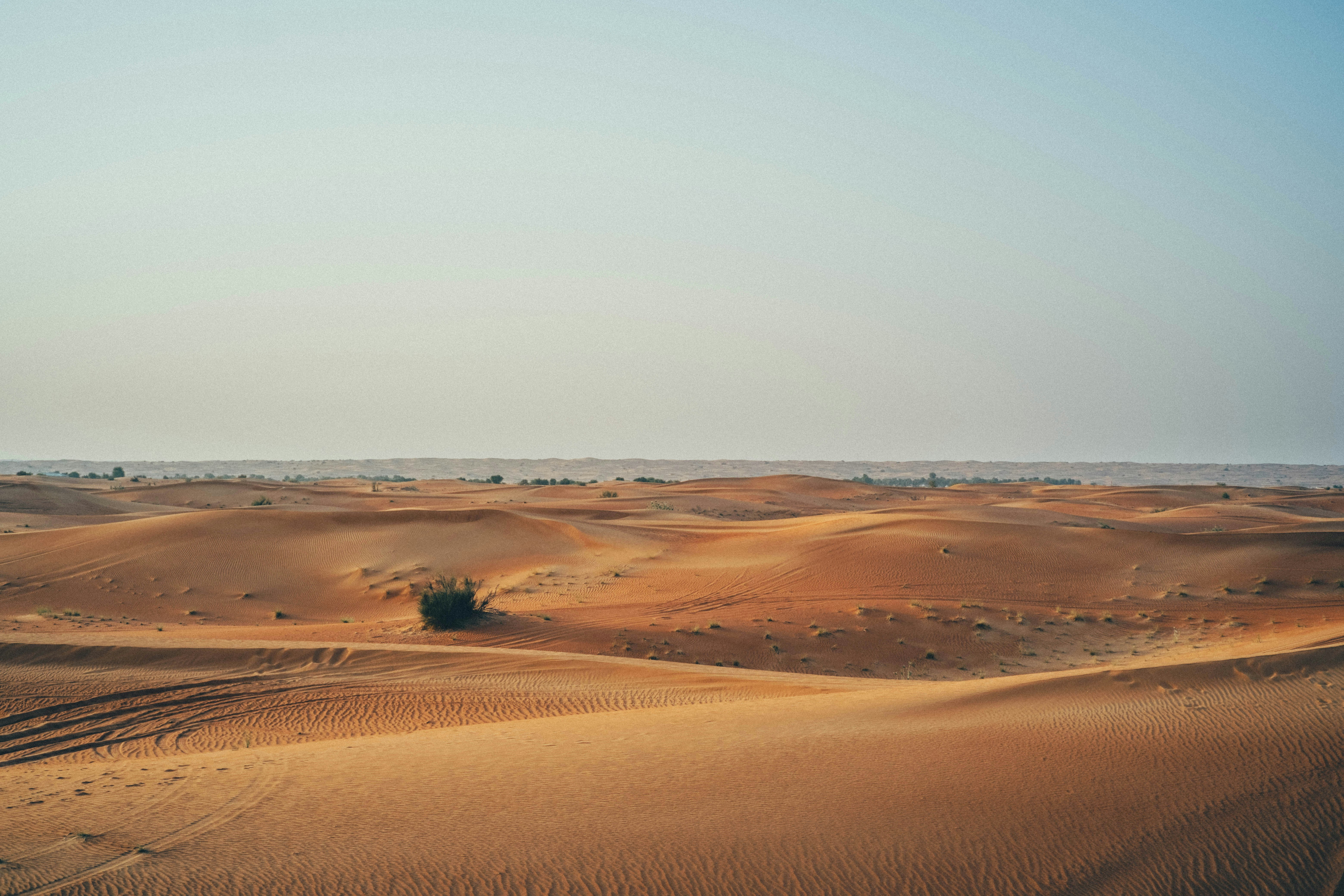A large desert landscape photo – Free Ground Image on Unsplash