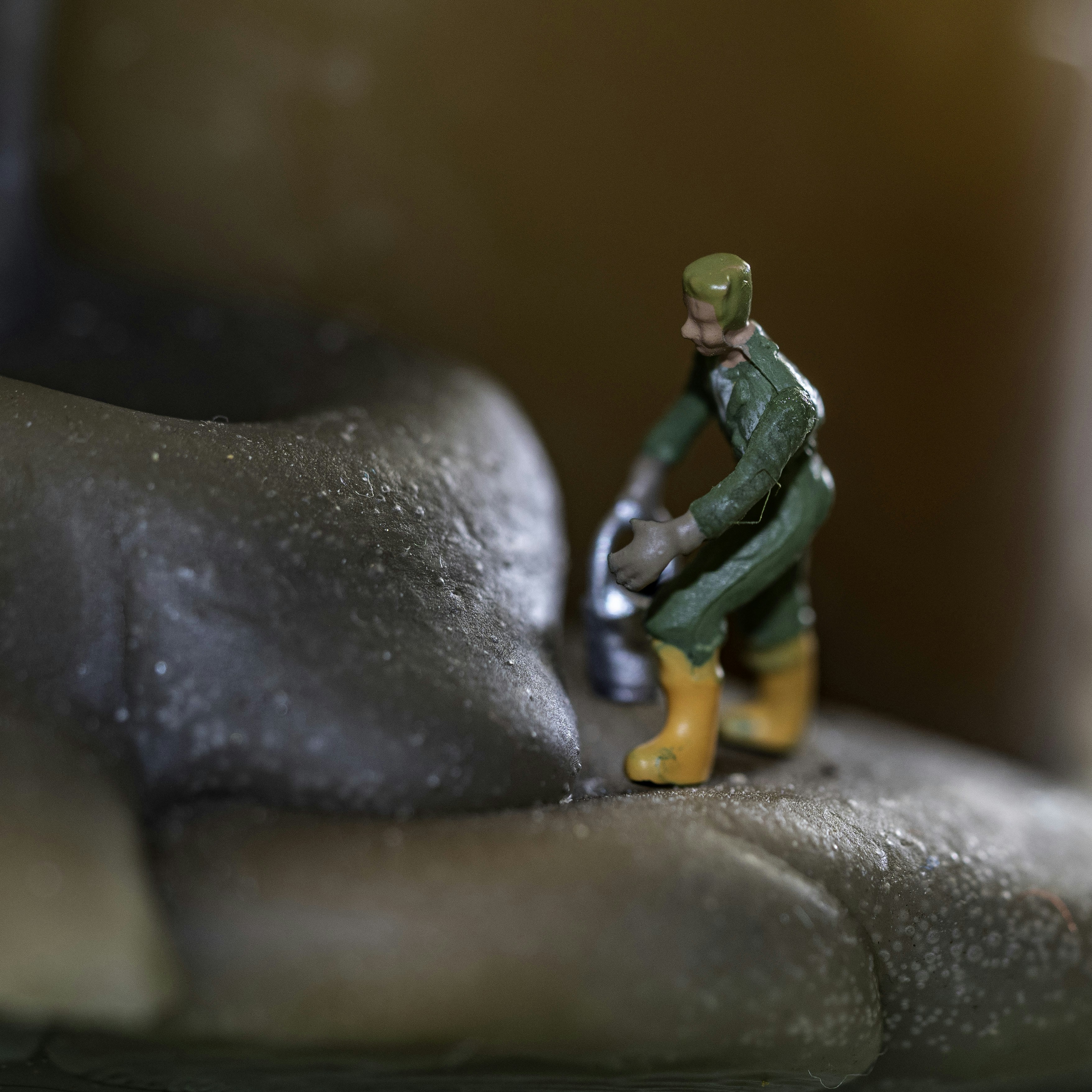 Tiny Warrior on a Granite Ridge: A Macro Portrait of Scale
