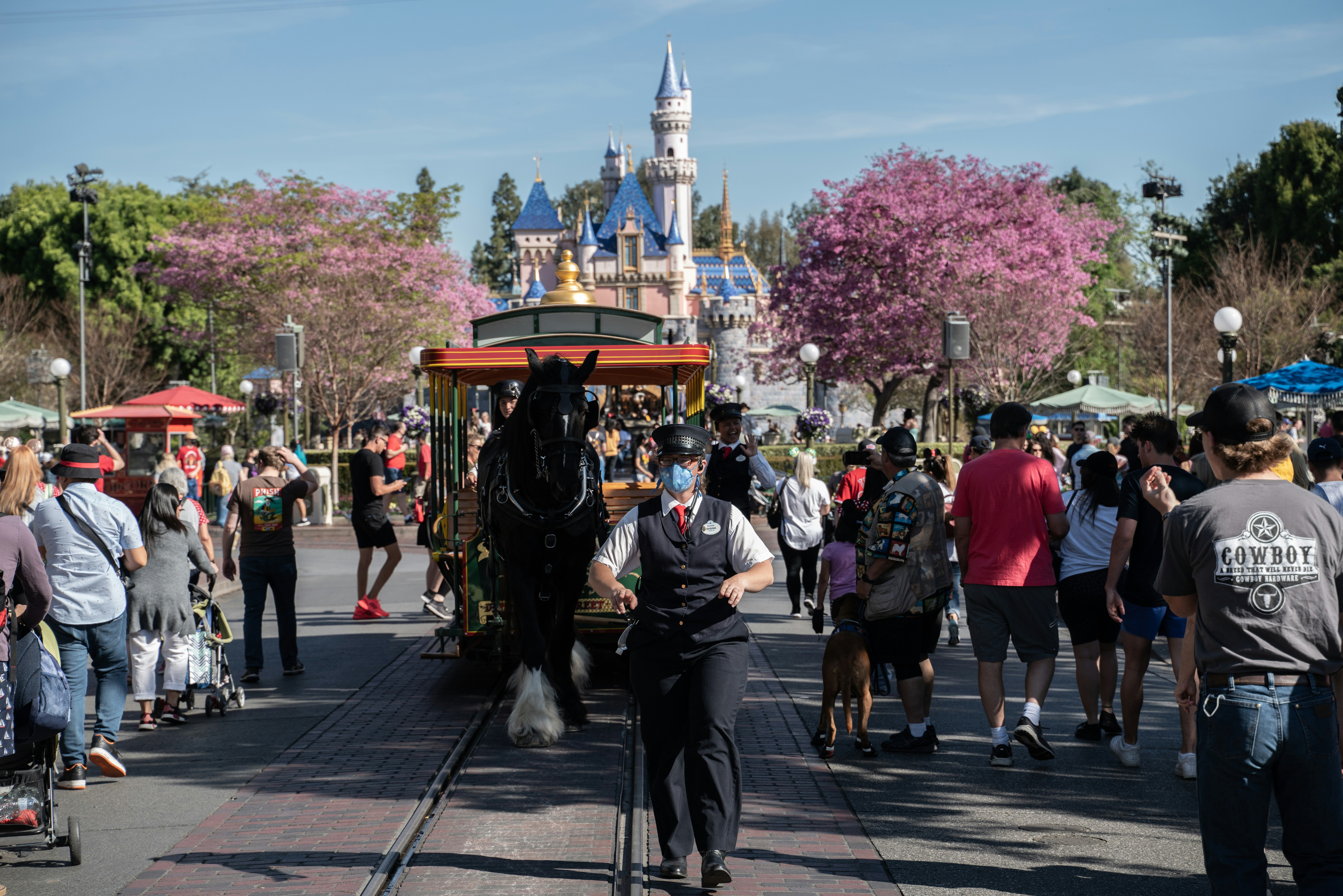 A crowd of people walking around a horse carriage photo – Free Man ...