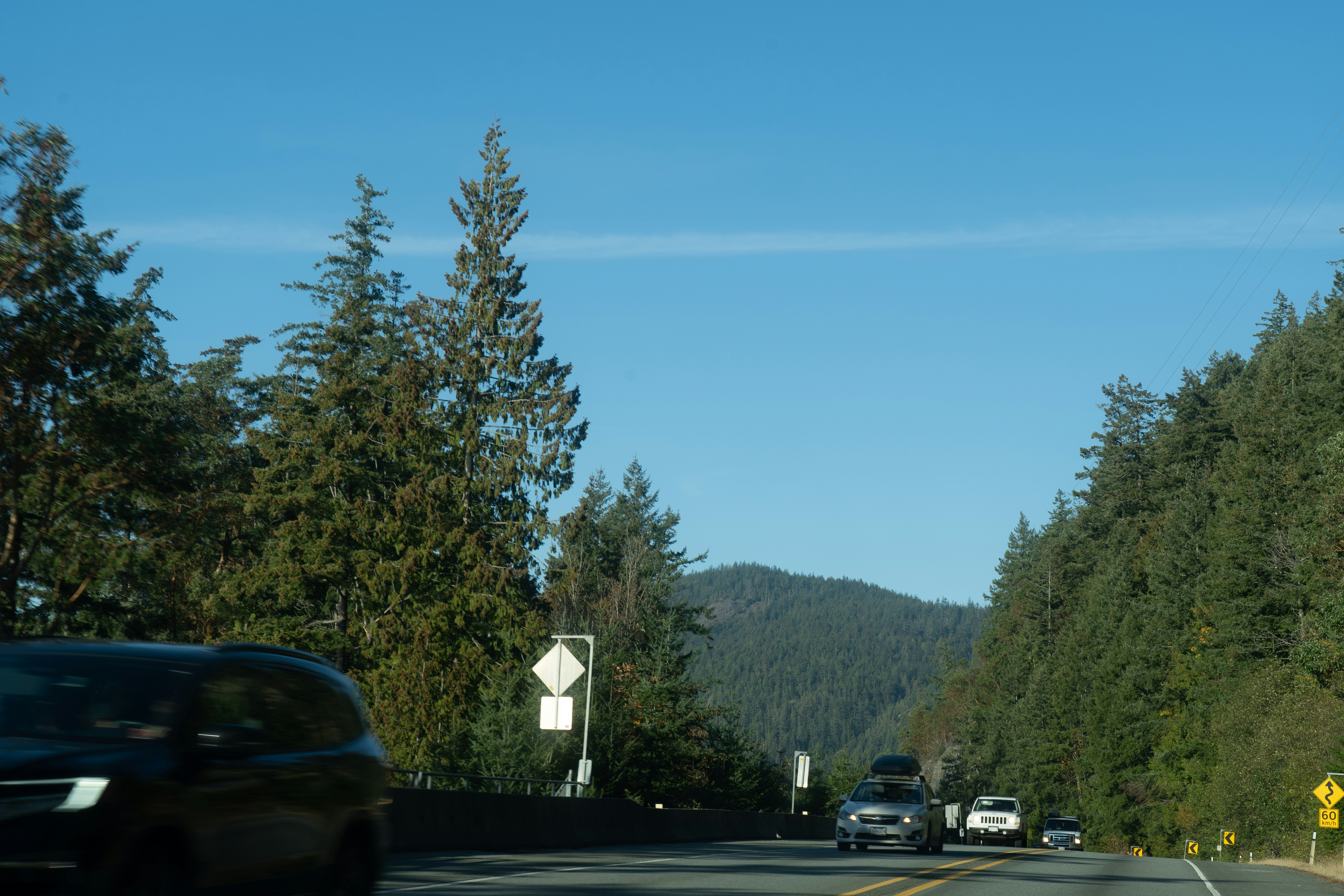 脇に木がある道路上の車の写真 – Unsplashの無料道写真