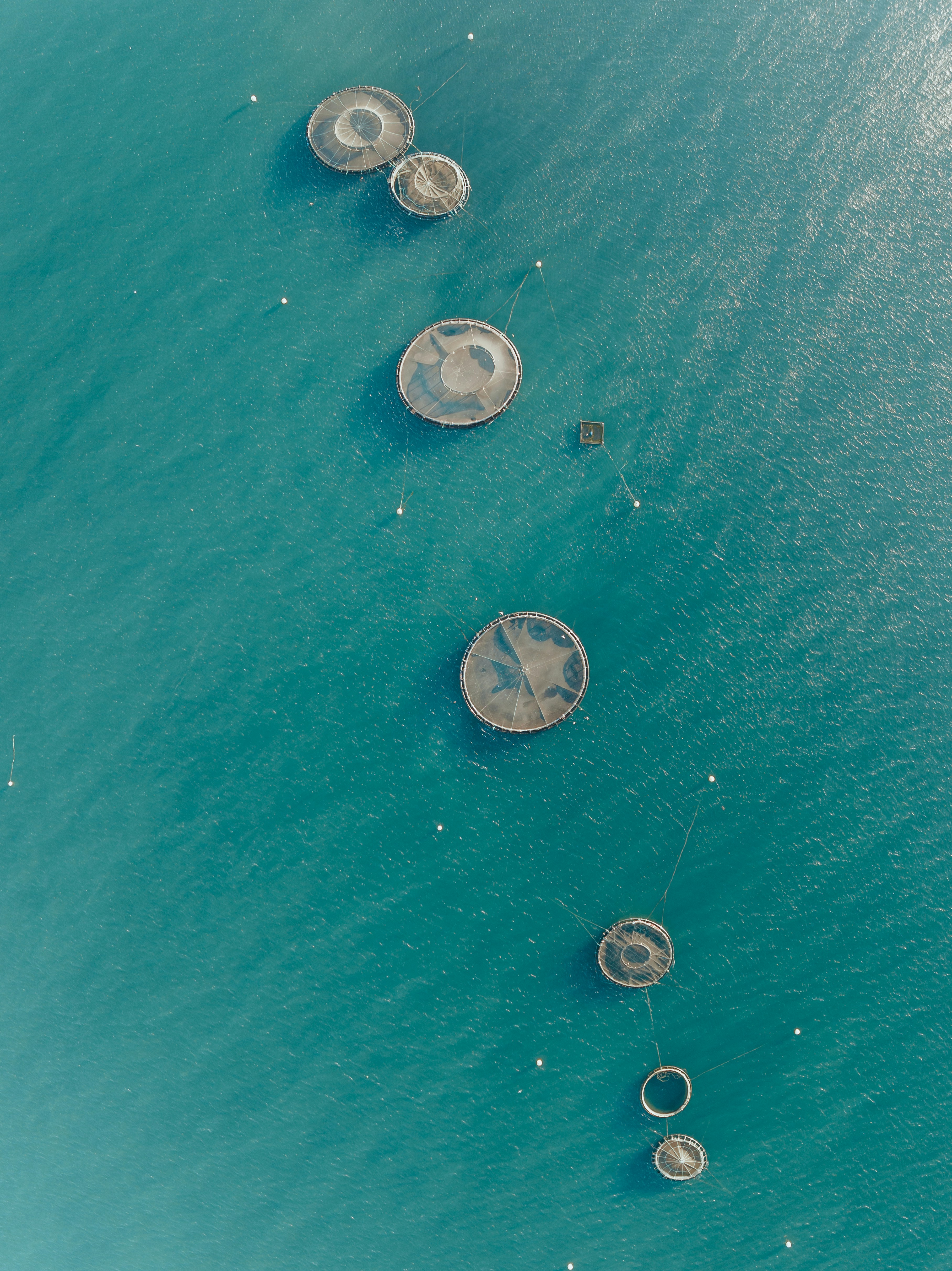 Photo by Josh Withers with DJI Mavic 3