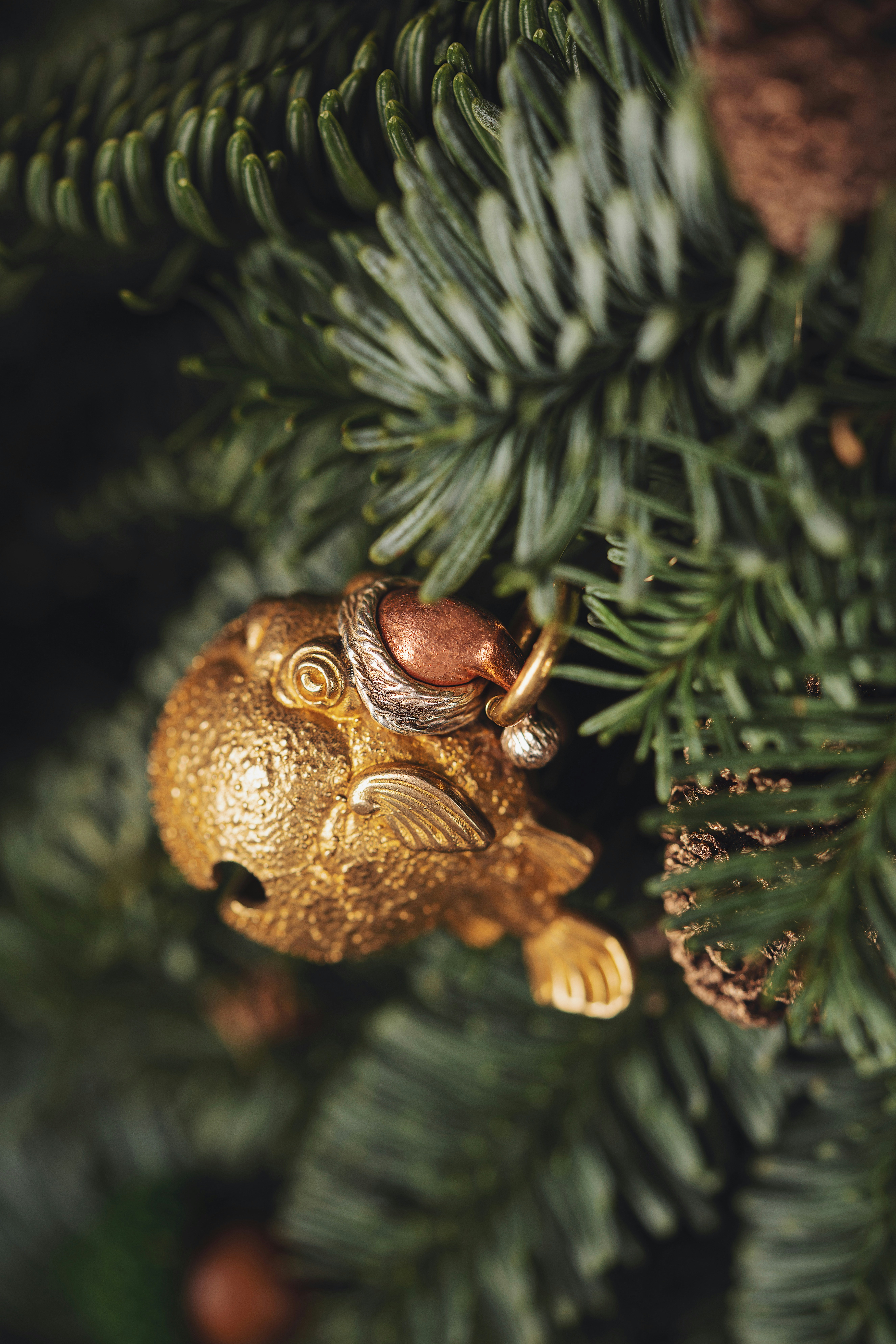 Golden Charms on Evergreen: A Tiny Ornament Clinging to the Branch