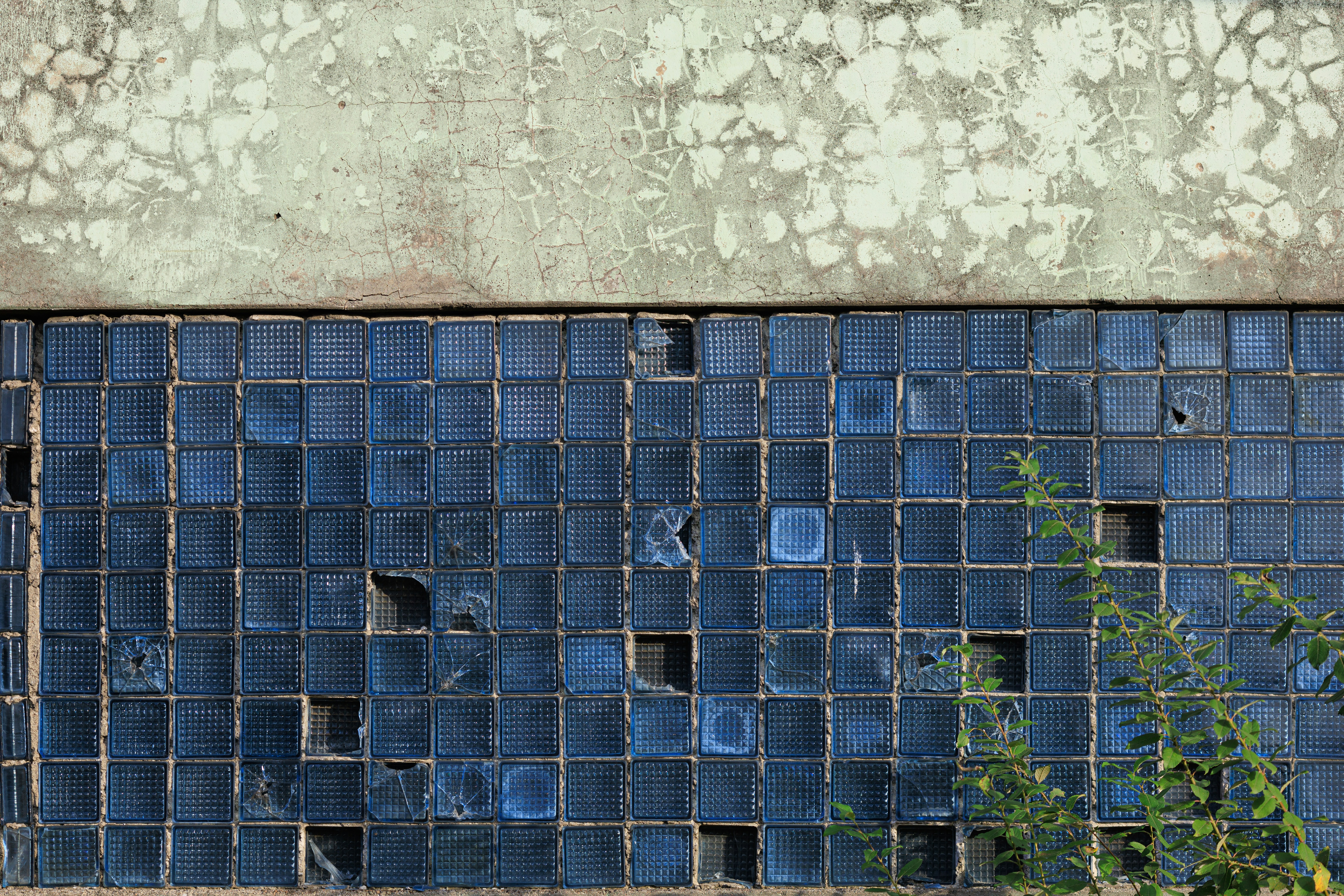 Azure Gridwork: A Weathered Wall of Squares with a Wandering Vine