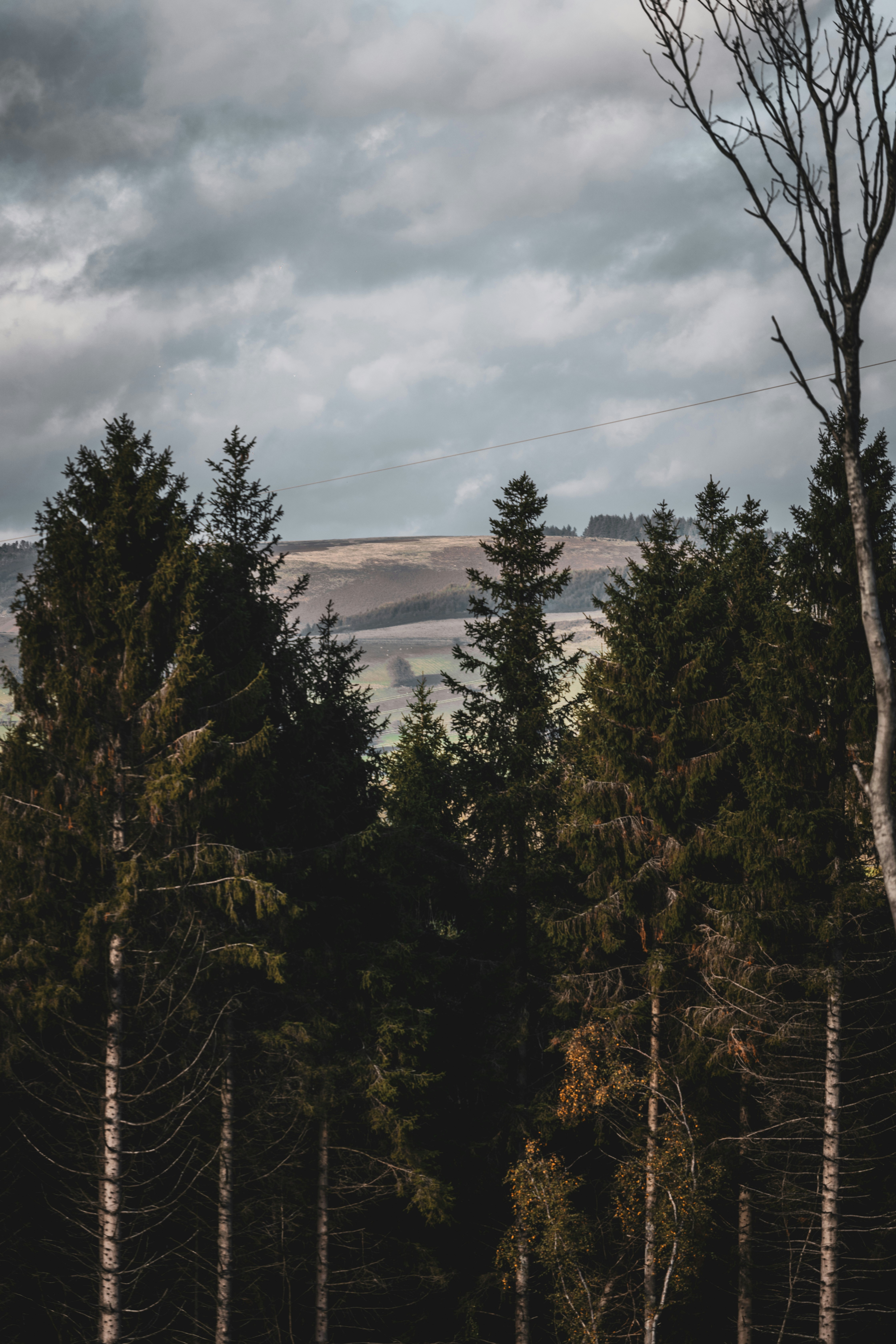 Rudry Photos | Télécharger des images gratuites sur Unsplash