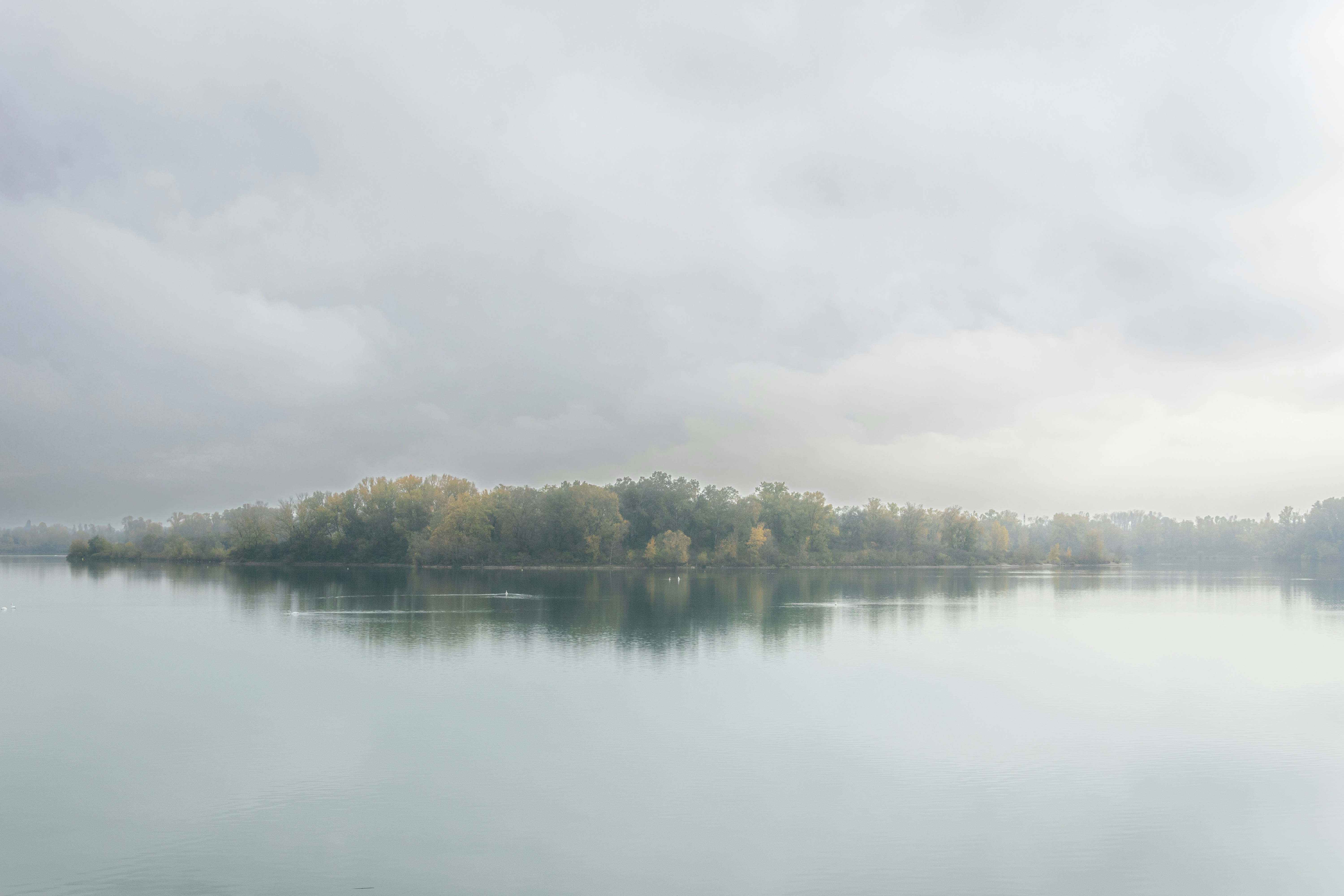 Foggy lake scene with an island reflecting on calm water.