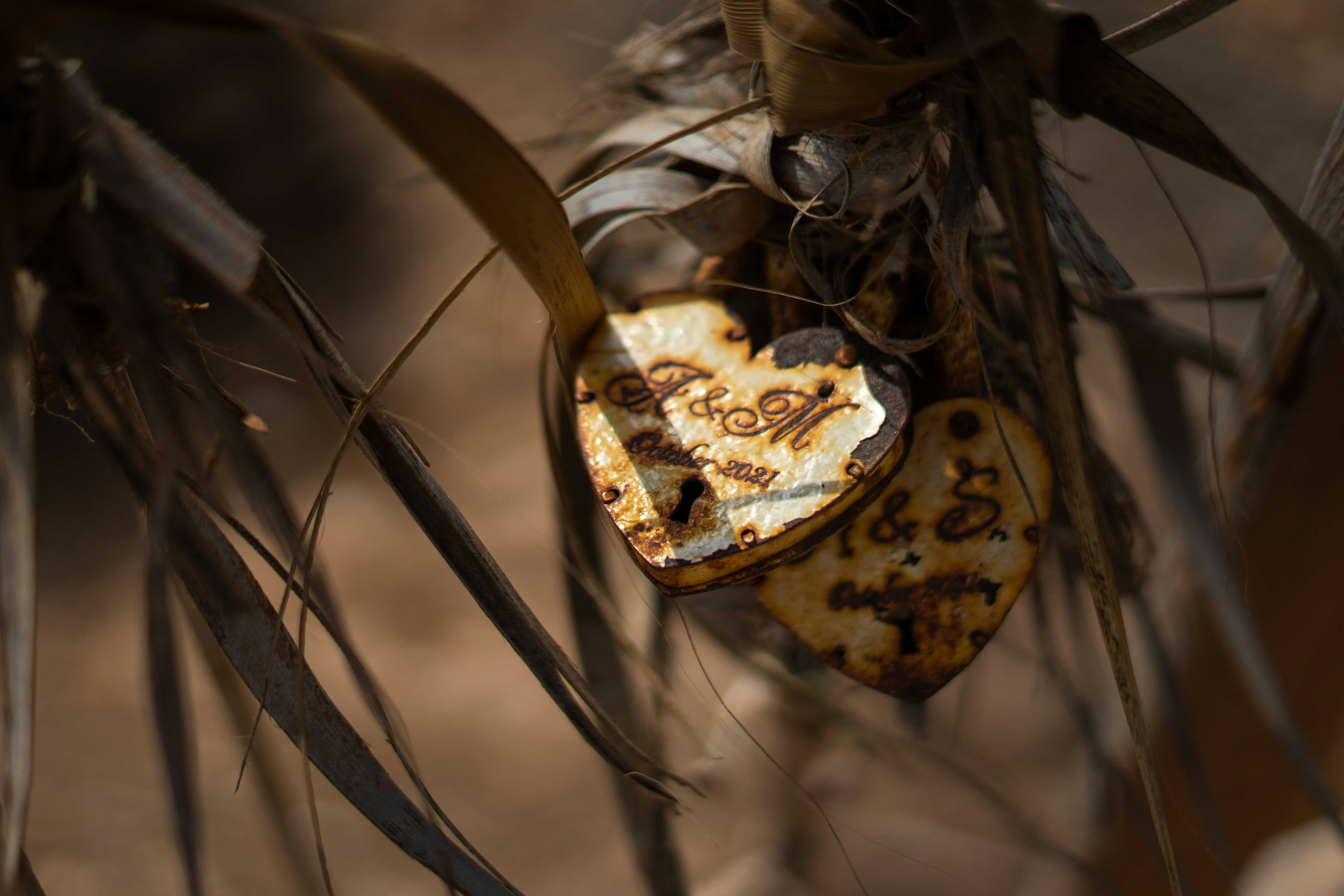 Rustic heart-shaped charms hanging among dry leaves, etched with faded inscriptions.
