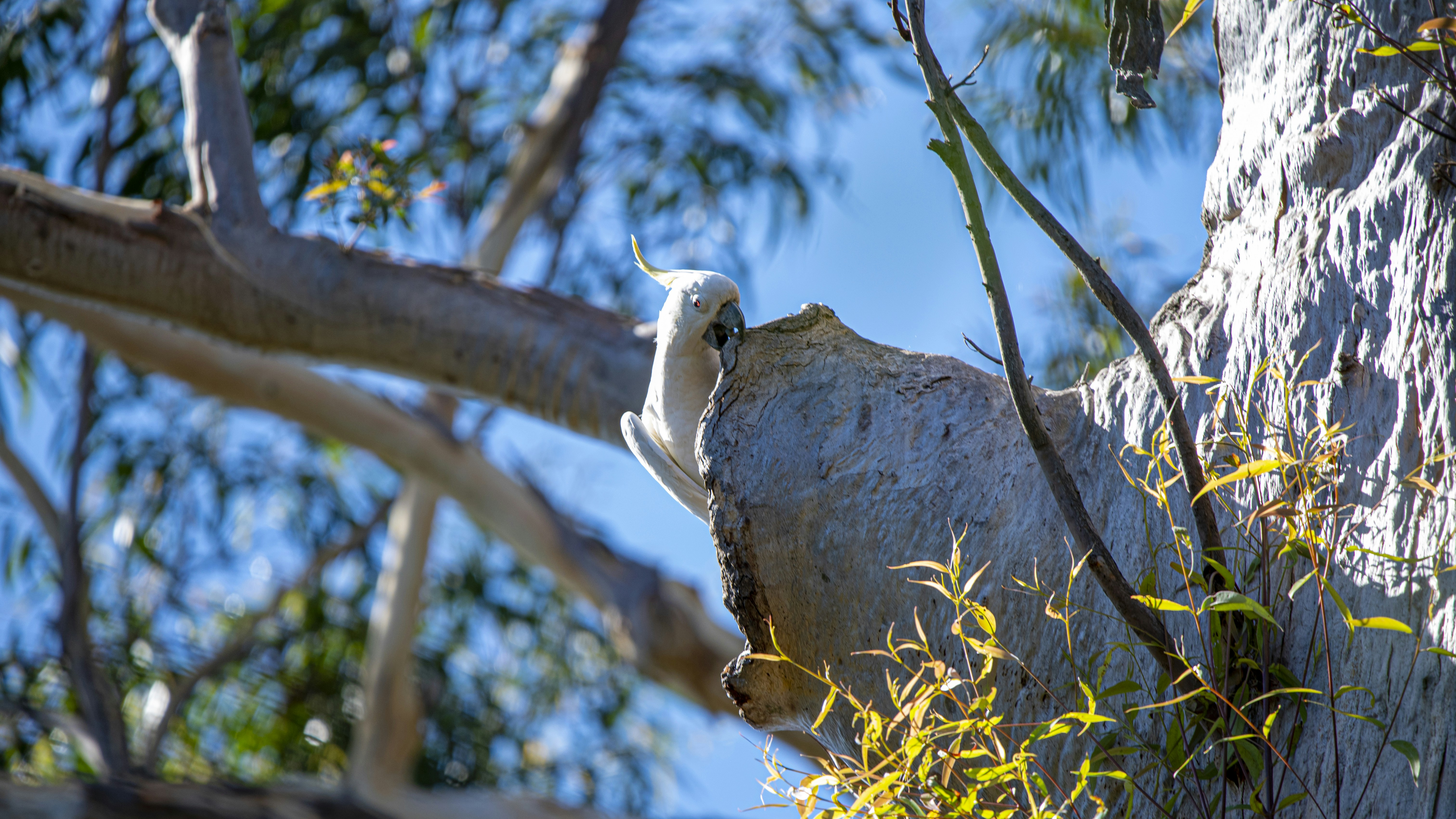 Photo by Leon Andov with Nikon D780