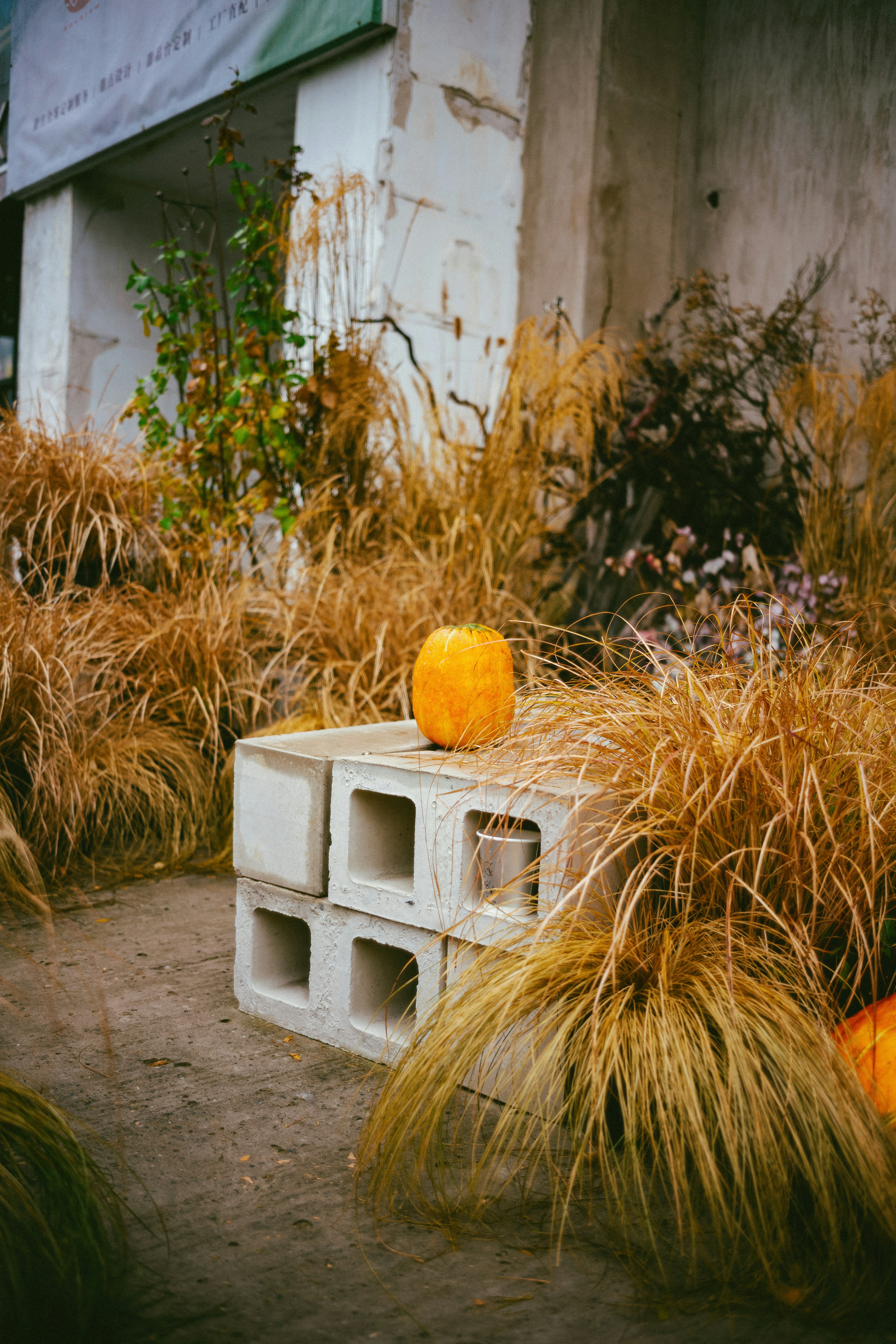Pumpkin on Concrete Blocks: Autumn Quiet Between Weathered Walls