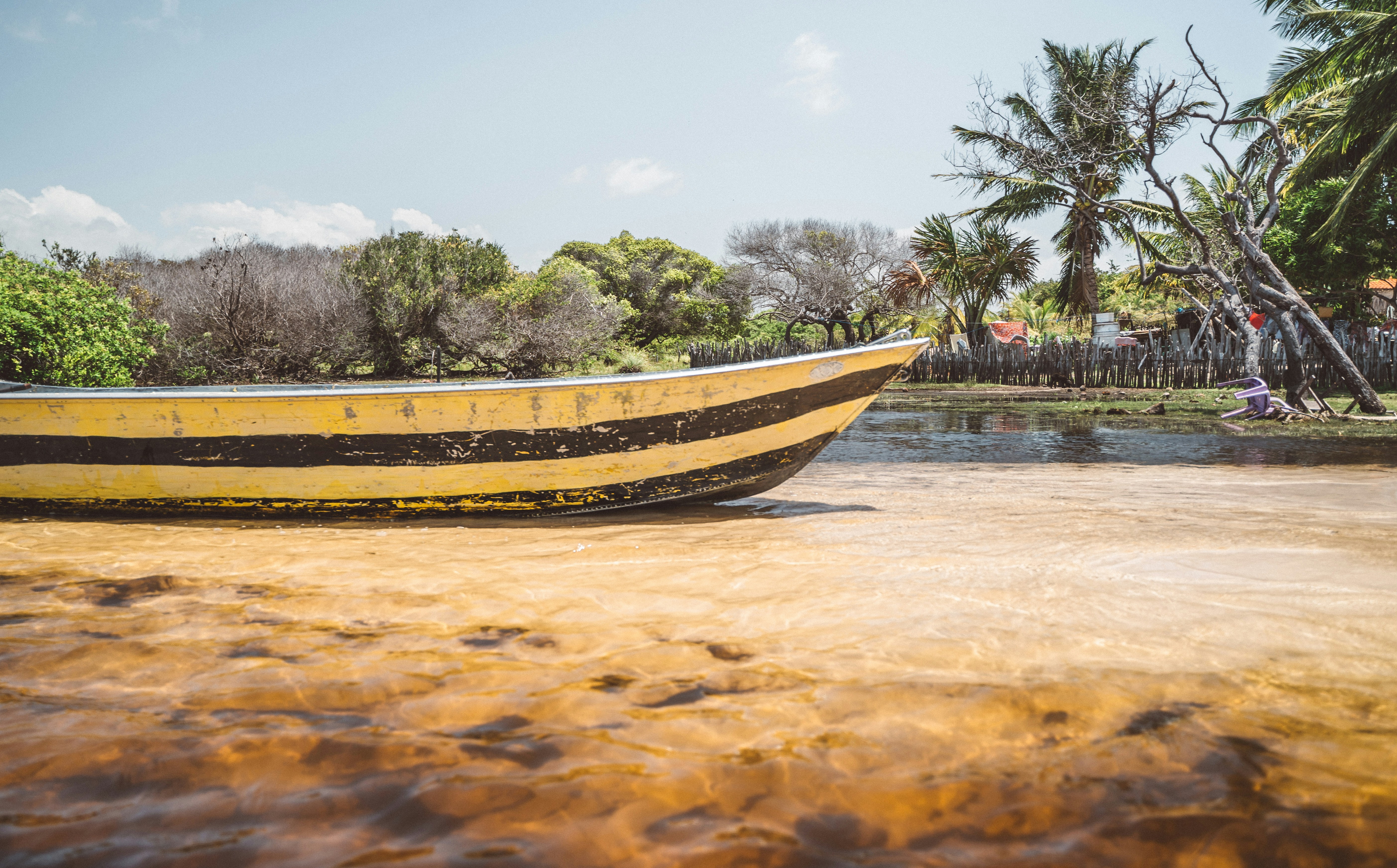 Wooden boat gliding along a sandy river with lush greenery and palm trees in the background under a clear sky.