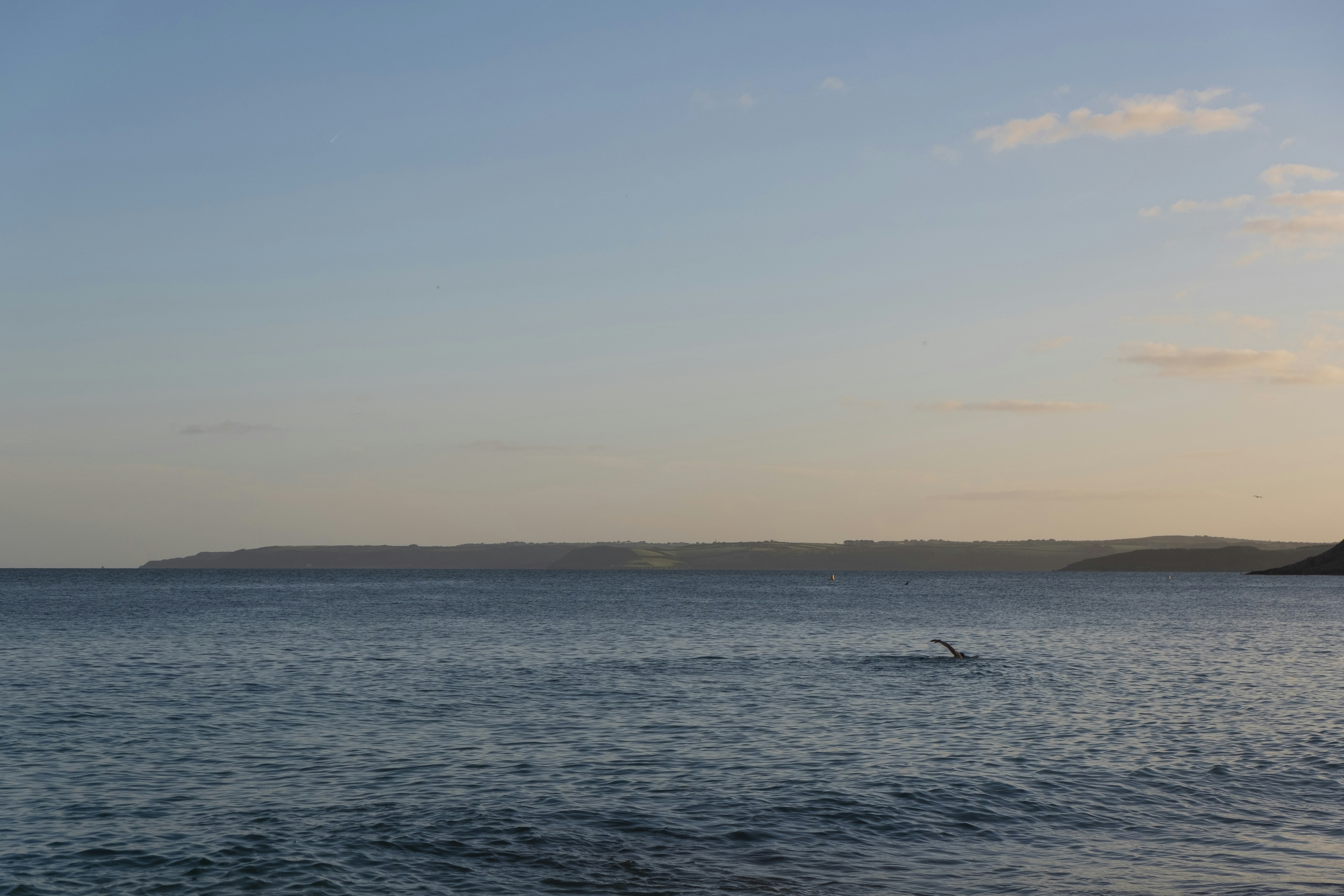 Calm ocean expanse with distant land under a pastel sky.