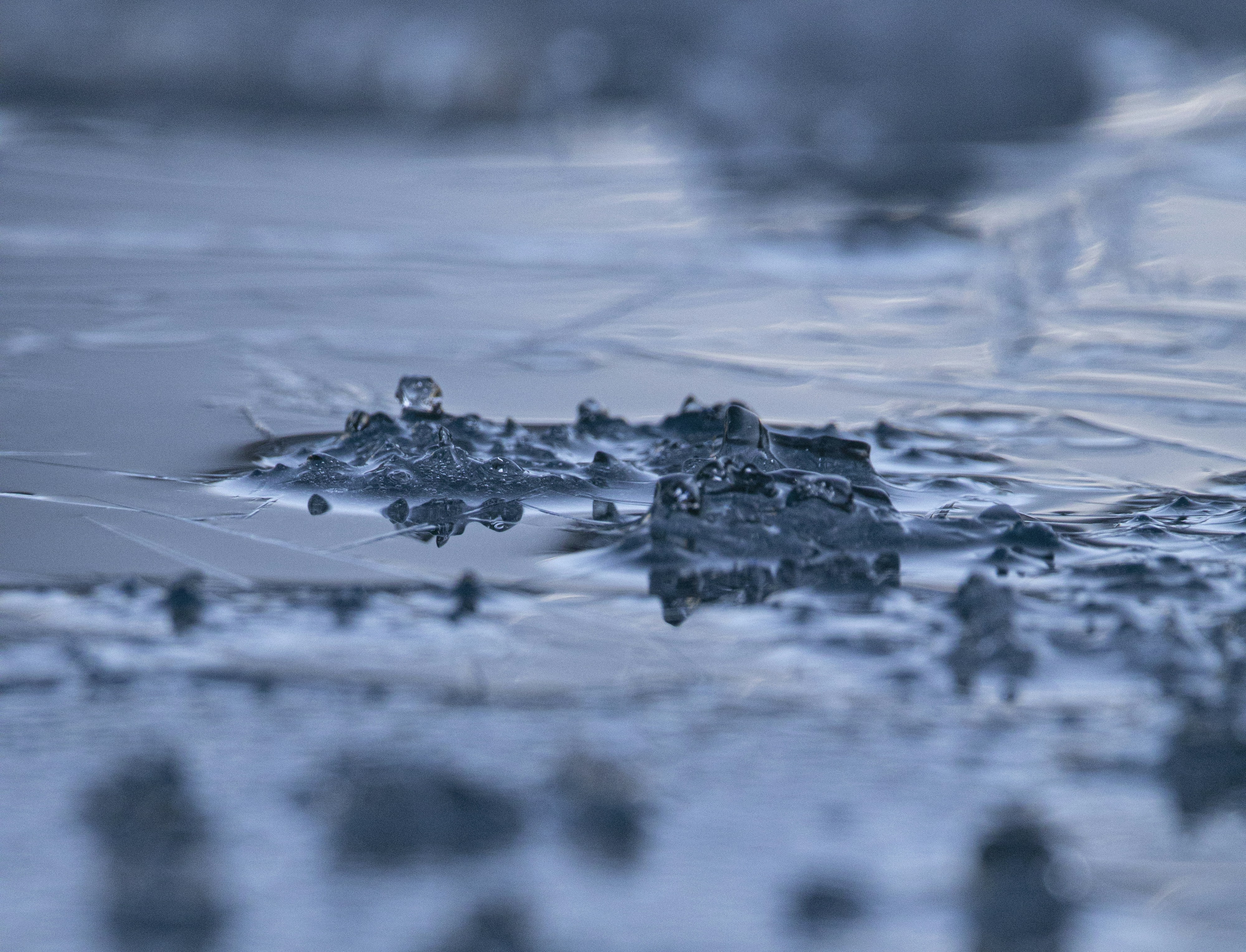 Tom Blum (@tomblum) | Unsplash Photo Community