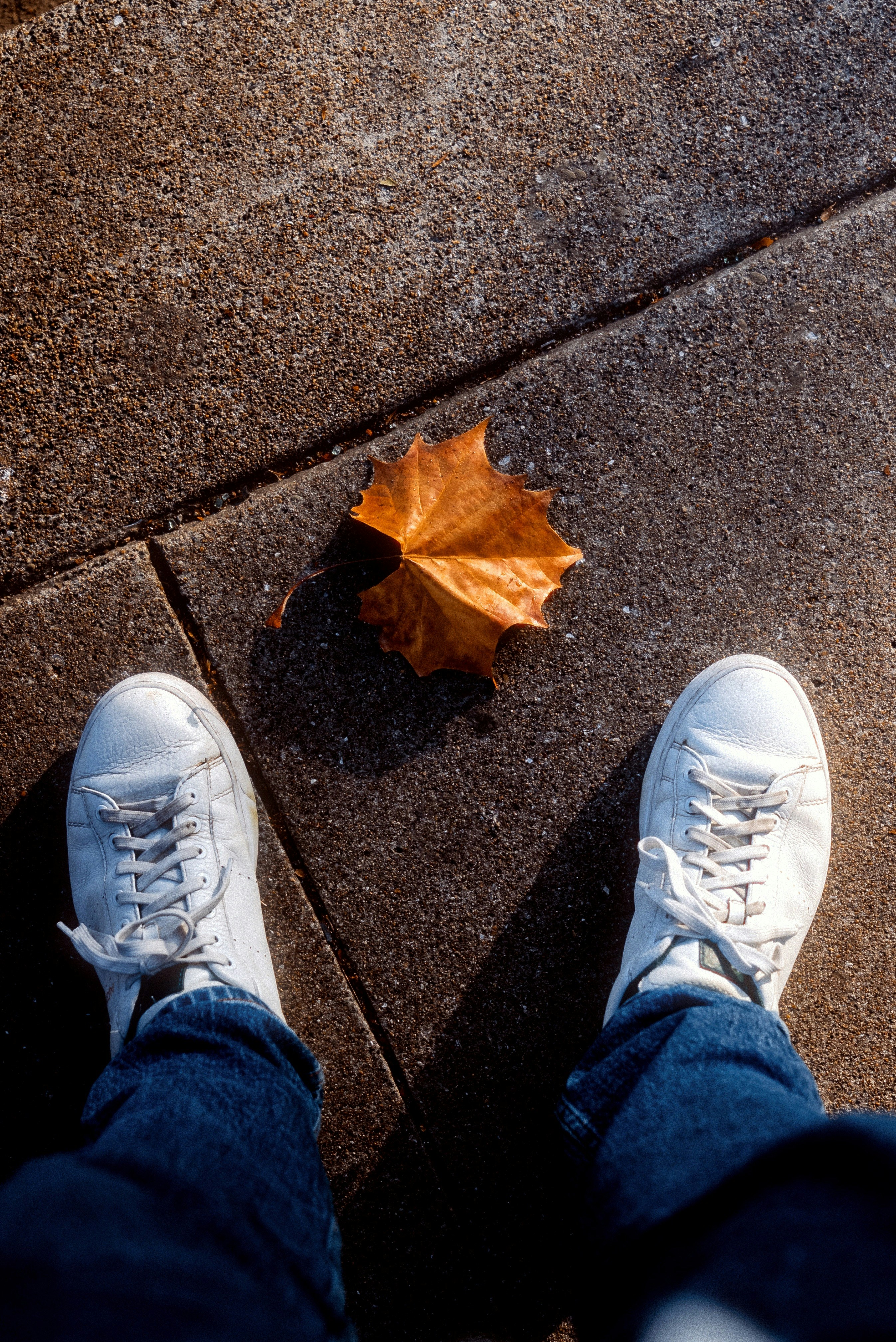 White sneakers stand on concrete while a single dried maple leaf rests nearby, capturing the essence of fall.